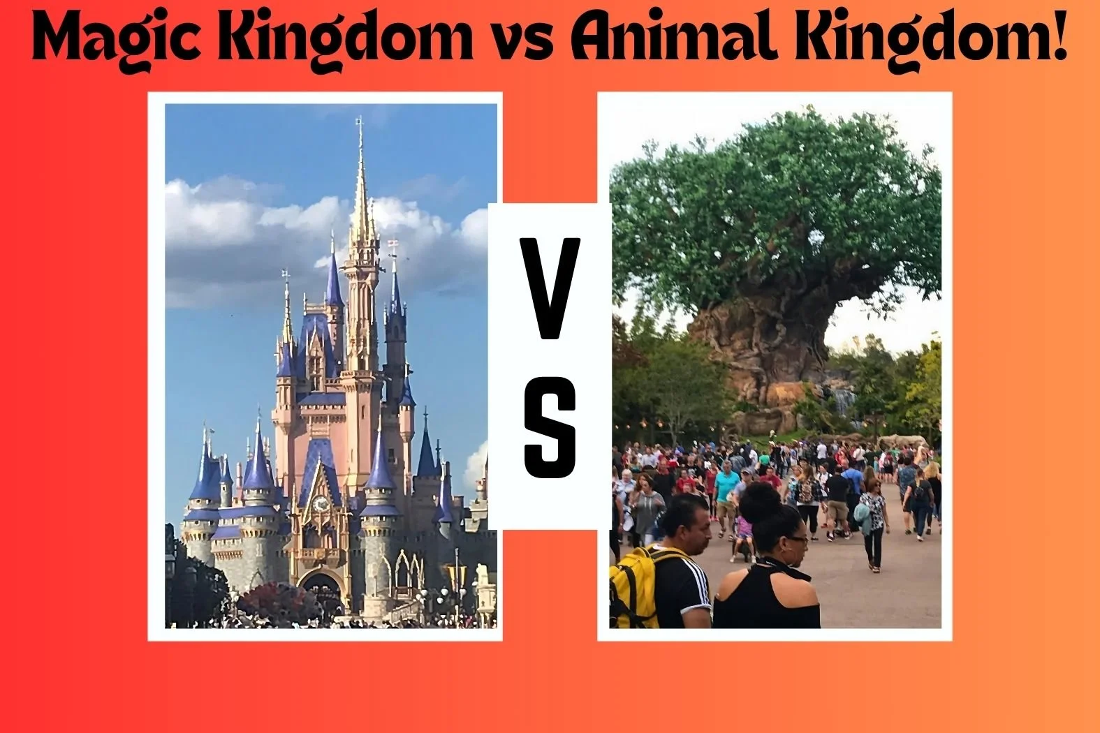 Disney World's Animal Kingdom vs. Magic Kingdom — Second Dad to the Right
