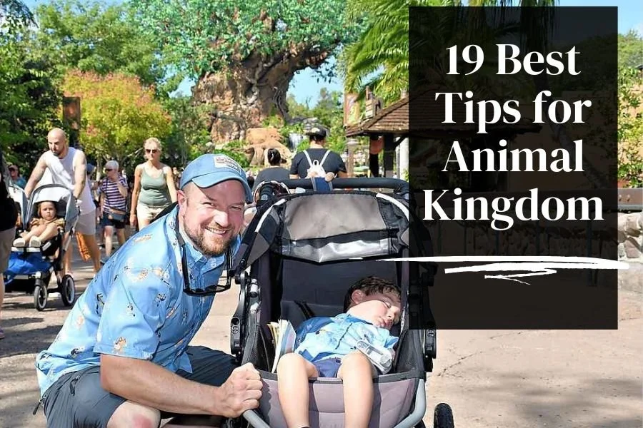 19 Best Tips for Disney World's Animal Kingdom! — Second Dad to the Right
