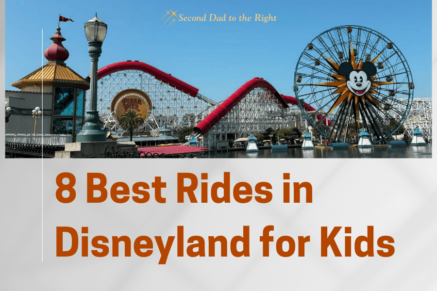 Magic Kingdom vs Disneyland: What's the Difference? — Second Dad to the ...