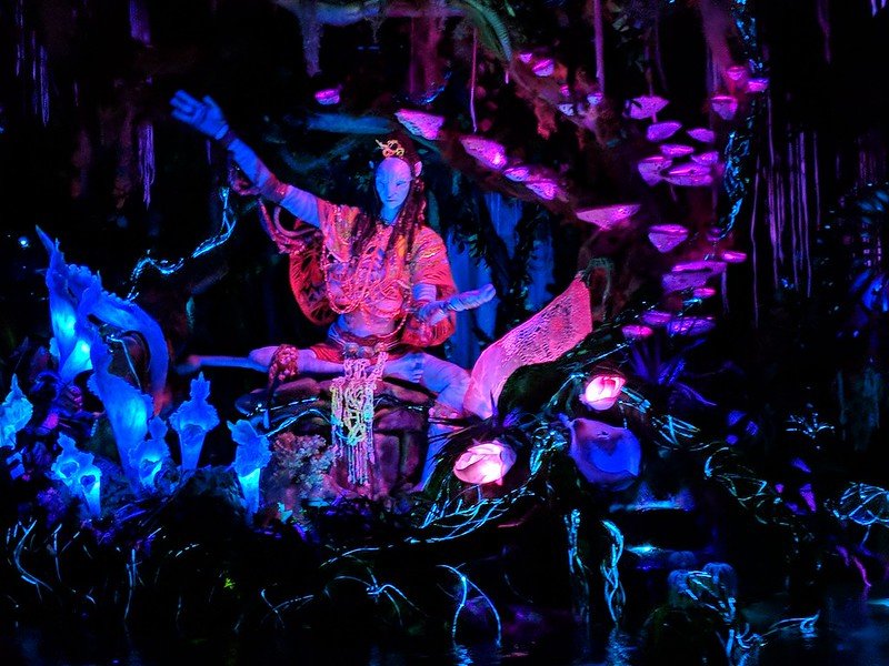 5 Best Animal Kingdom Rides for Kids (Elementary Age) — Second Dad to ...