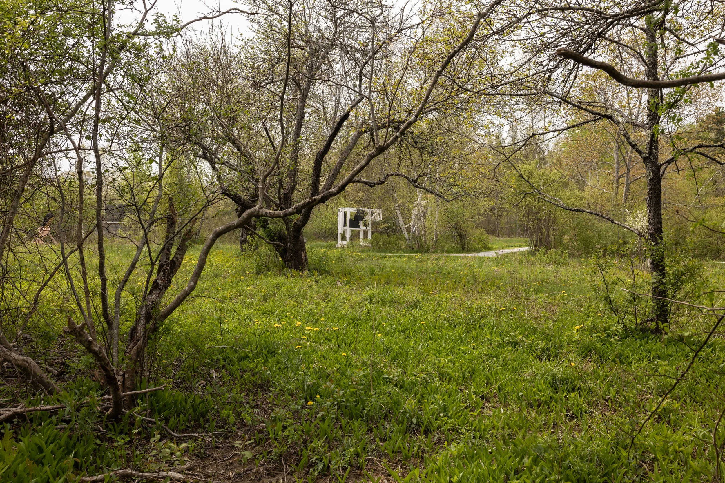 Langlais Art Preserve