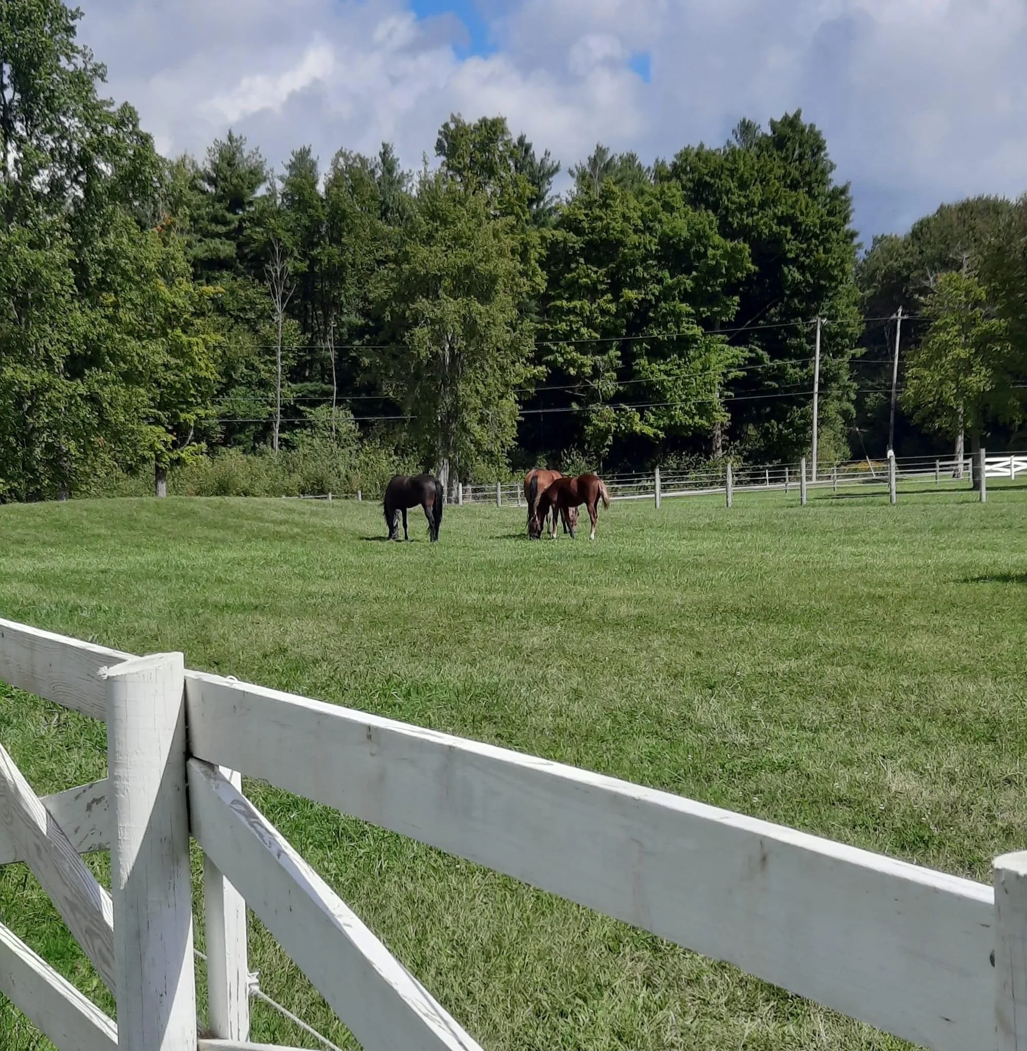 GALLERY — Cornerstone Ranch