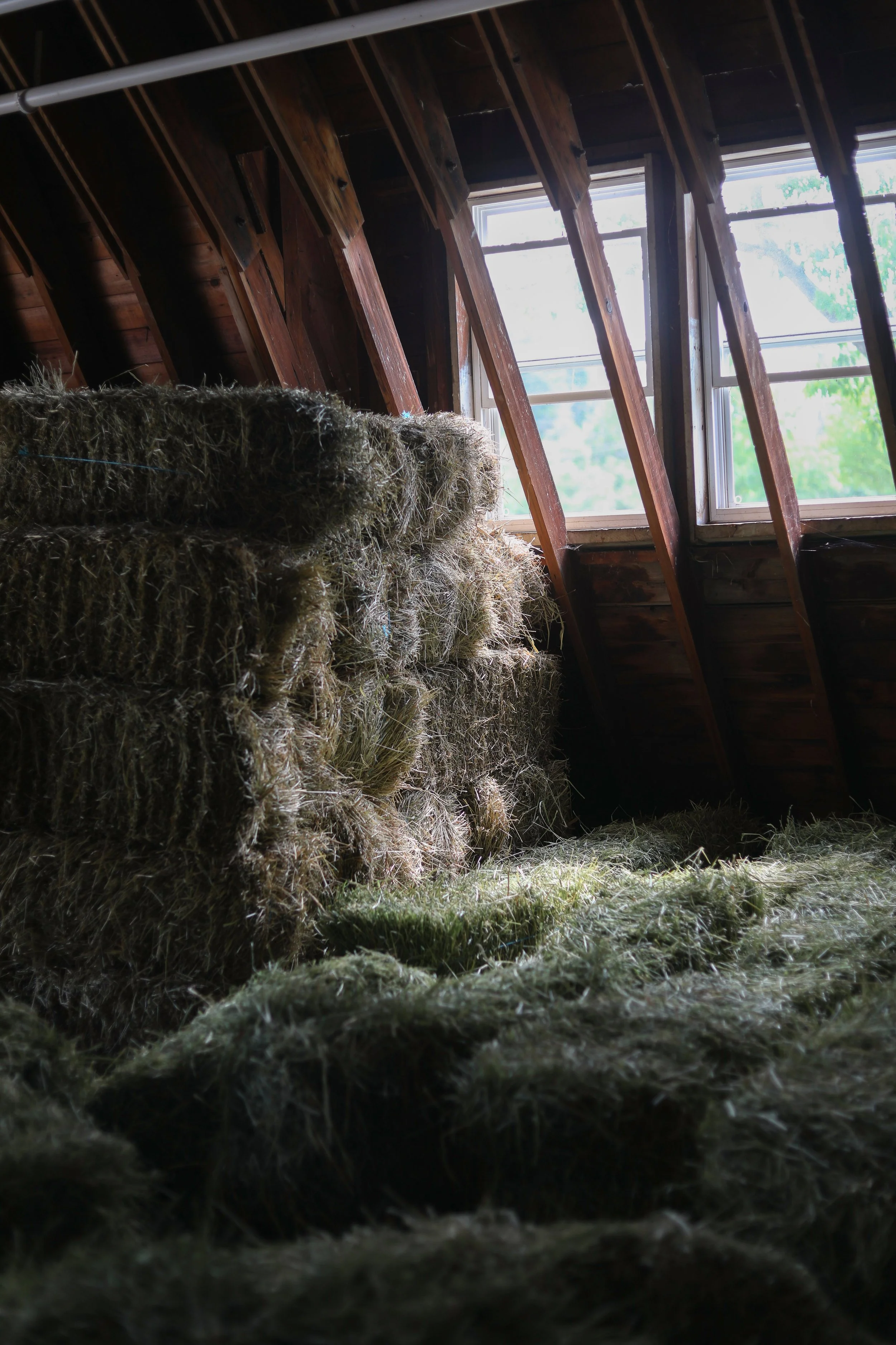 GALLERY — Cornerstone Ranch