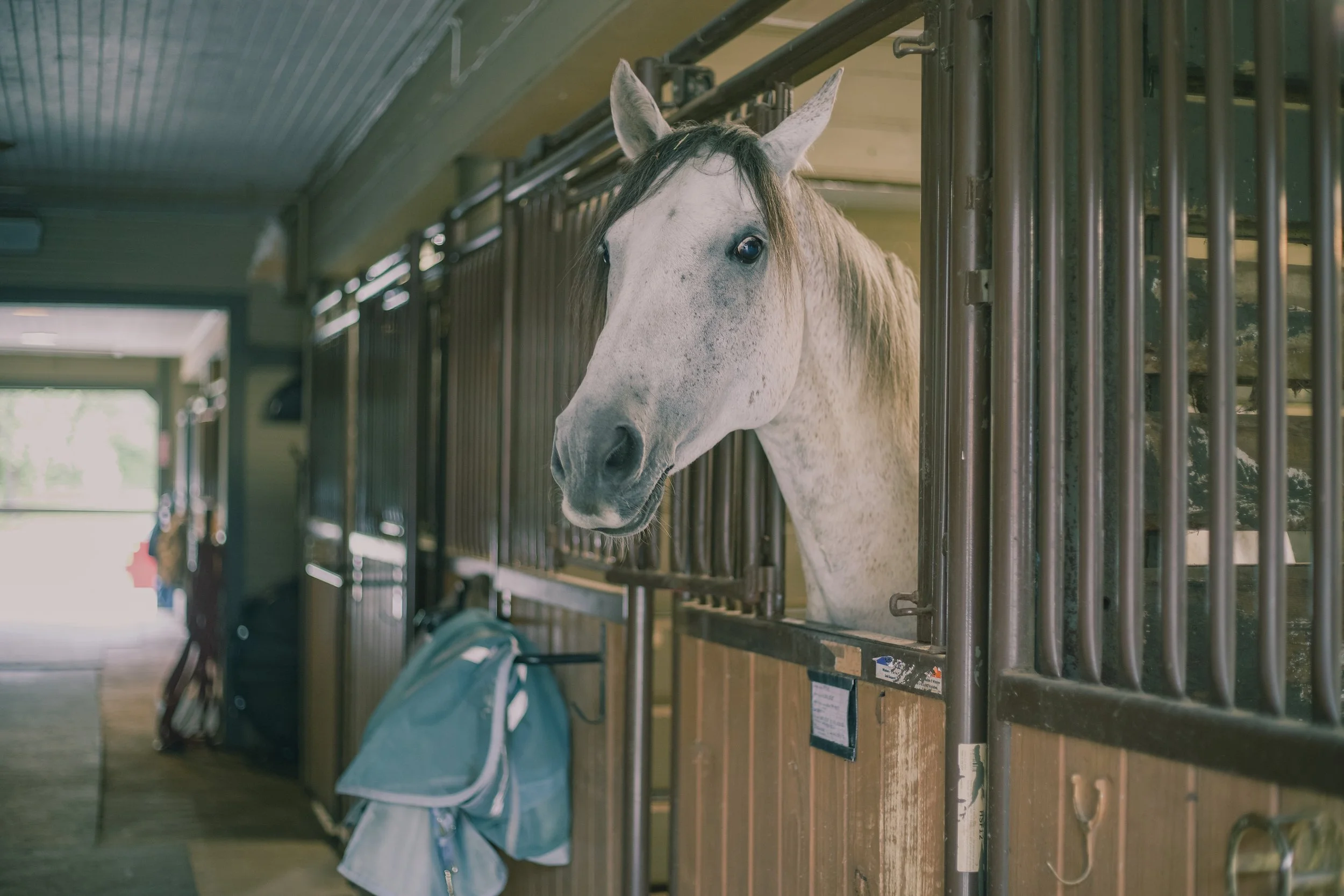 Boarding — Cornerstone Ranch
