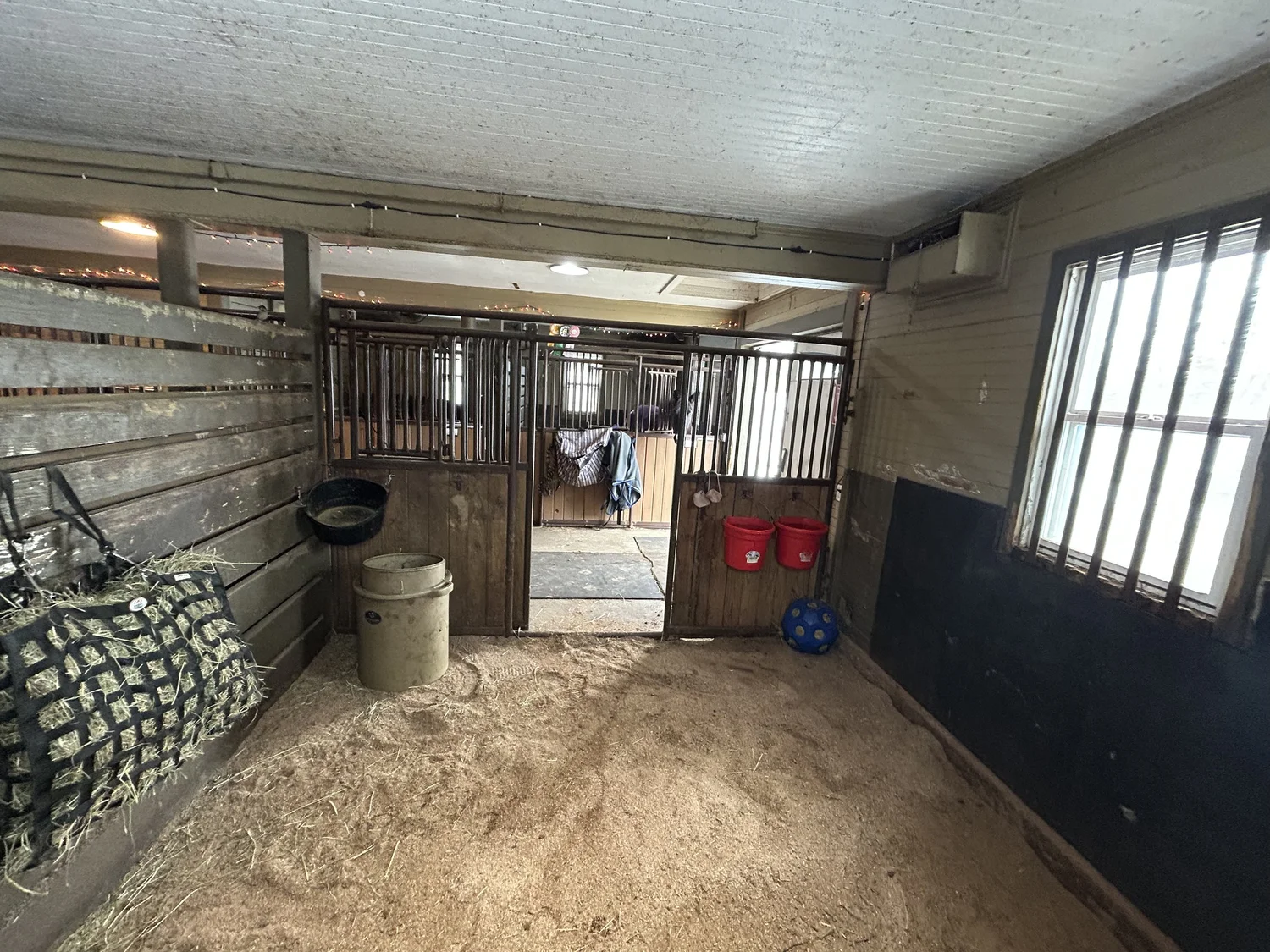 OUR HORSES — Cornerstone Ranch