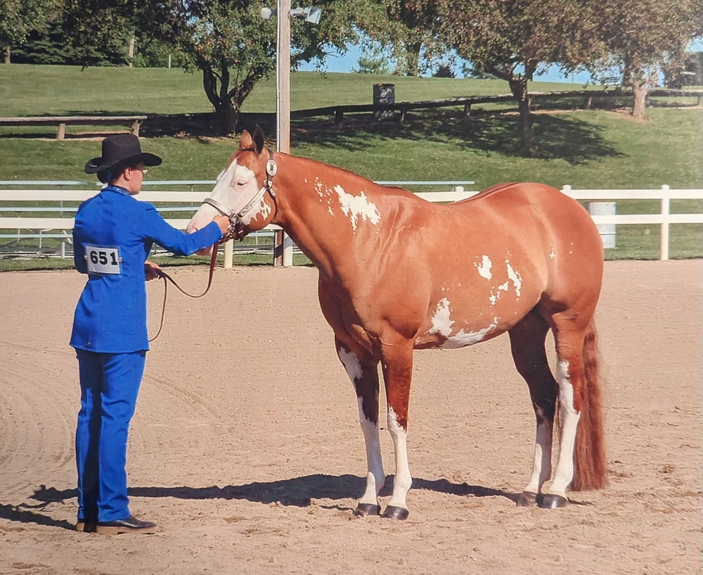 About — Cornerstone Ranch