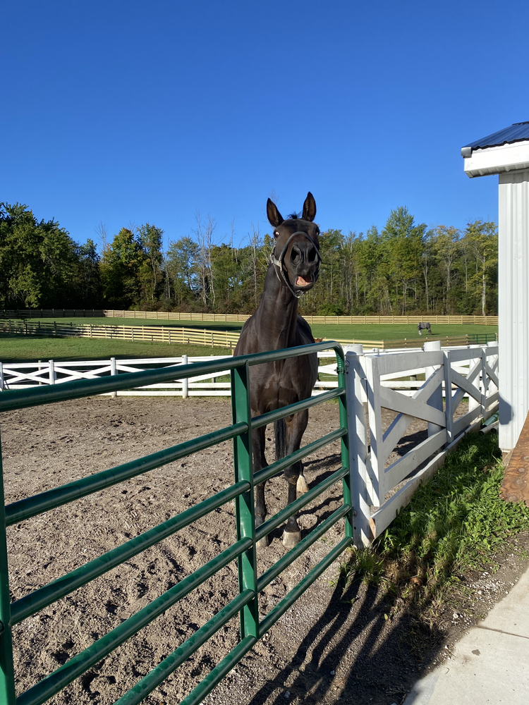 Facility — Cornerstone Ranch