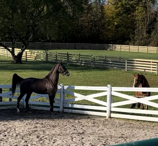 Facility — Cornerstone Ranch