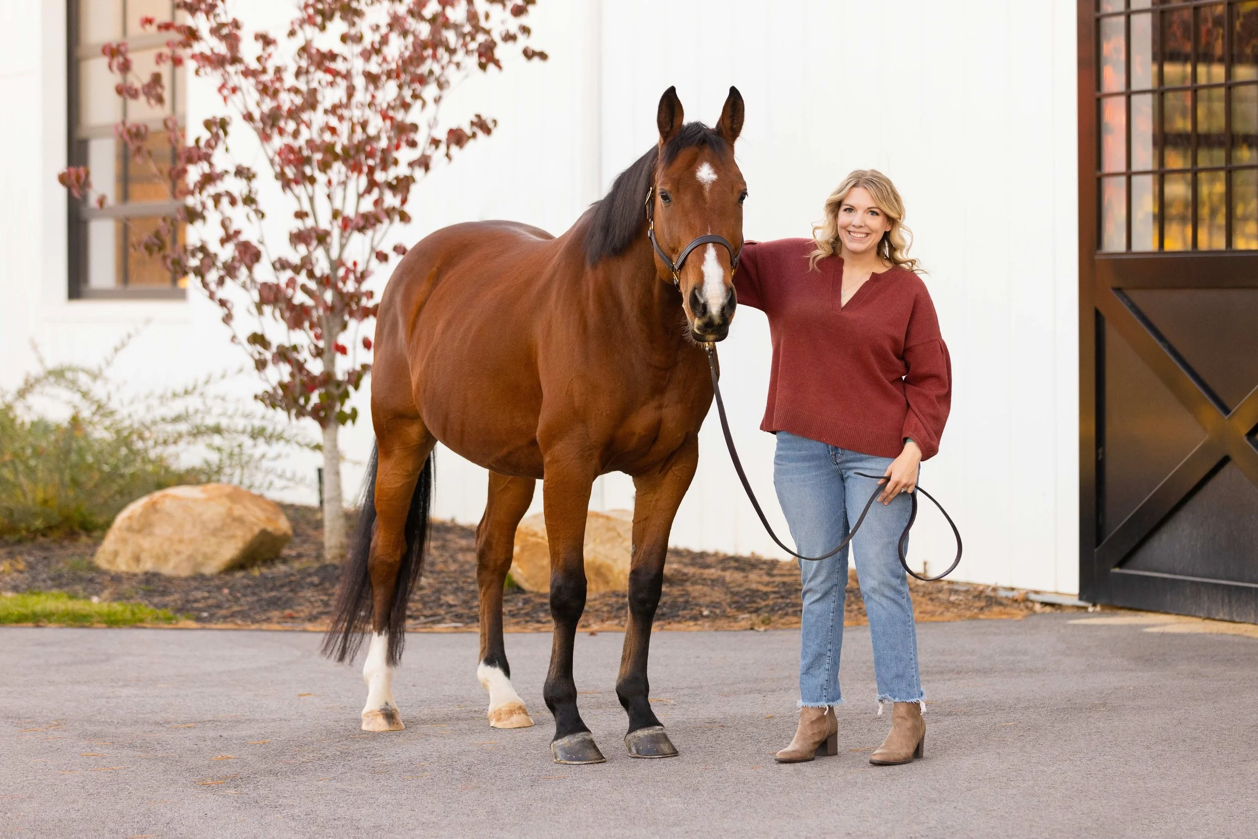 OUR HORSES — Cornerstone Ranch