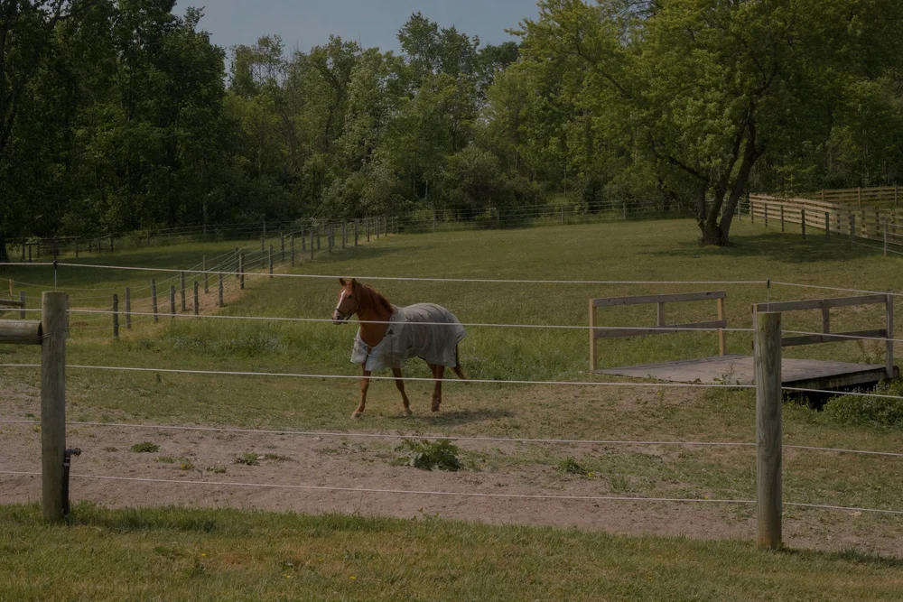 Boarding — Cornerstone Ranch
