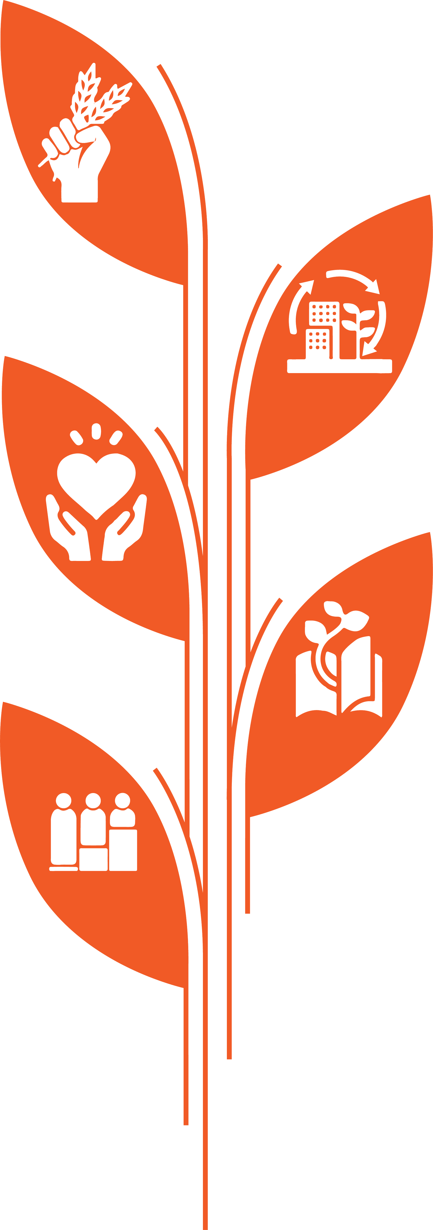 Community-Led Food Systems — ChiByDesign | Caring. Bold. Dynamic.