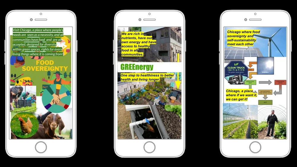Community-Led Food Systems — ChiByDesign | Caring. Bold. Dynamic.