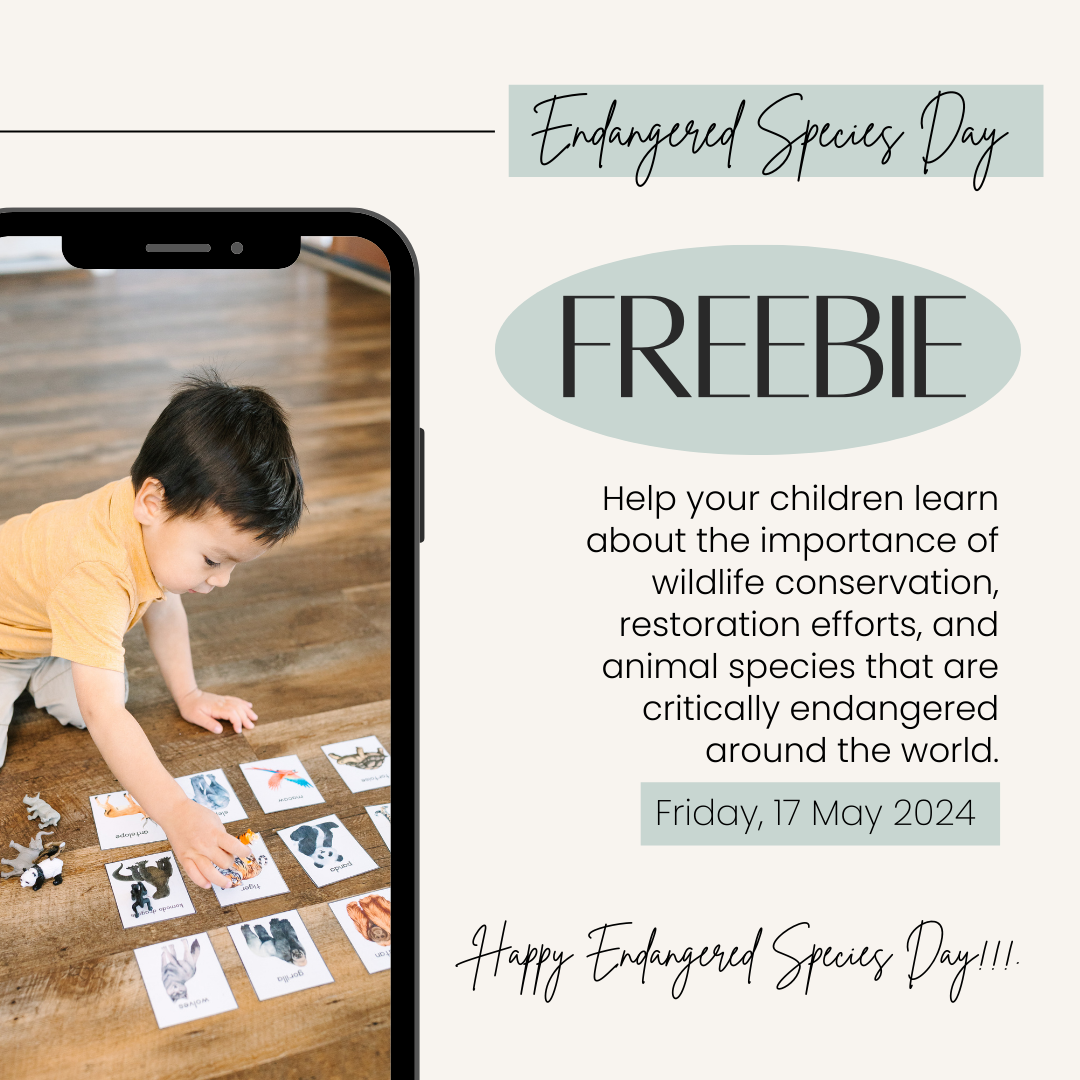 Freebies + Printable Pages — Homebuilt Education