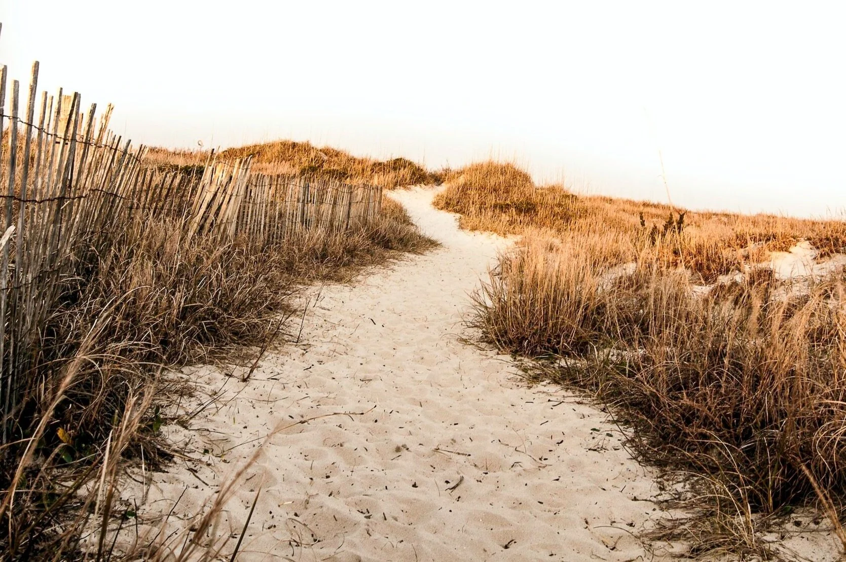 Path Forward CounselingPath Forward Counseling