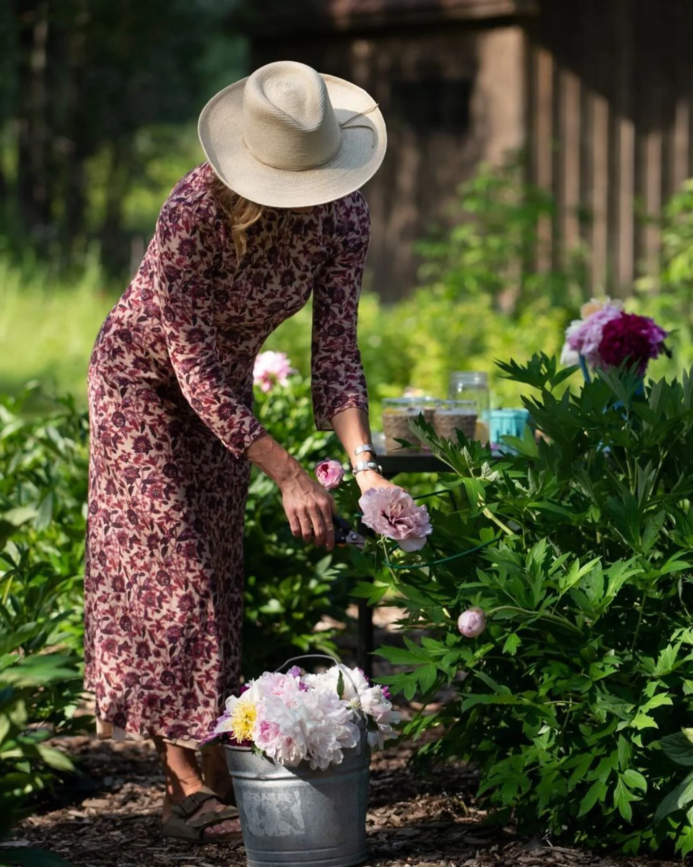 GRAZE GARDEN AND HOME