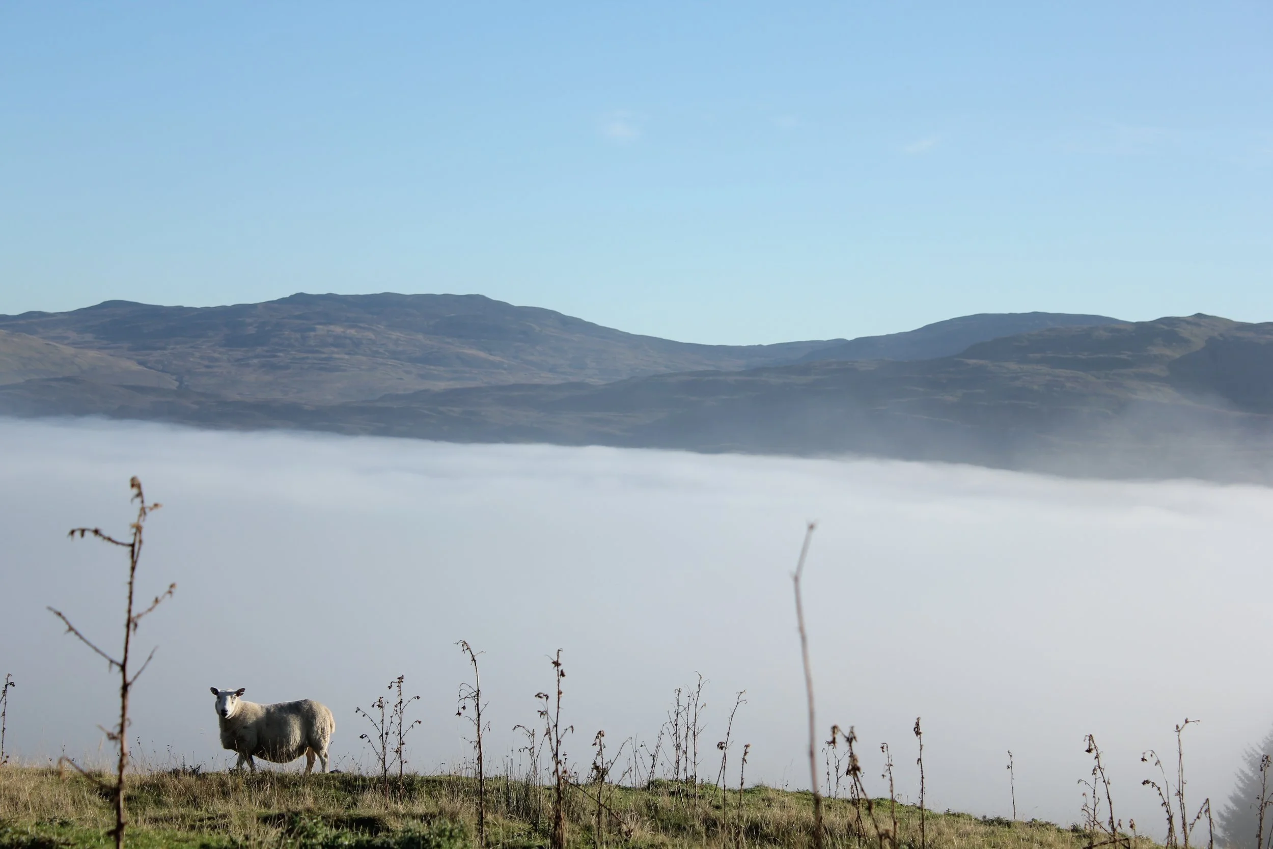 PHOTOGRAPHY of Scotland by Susan Knof — KNOF Design