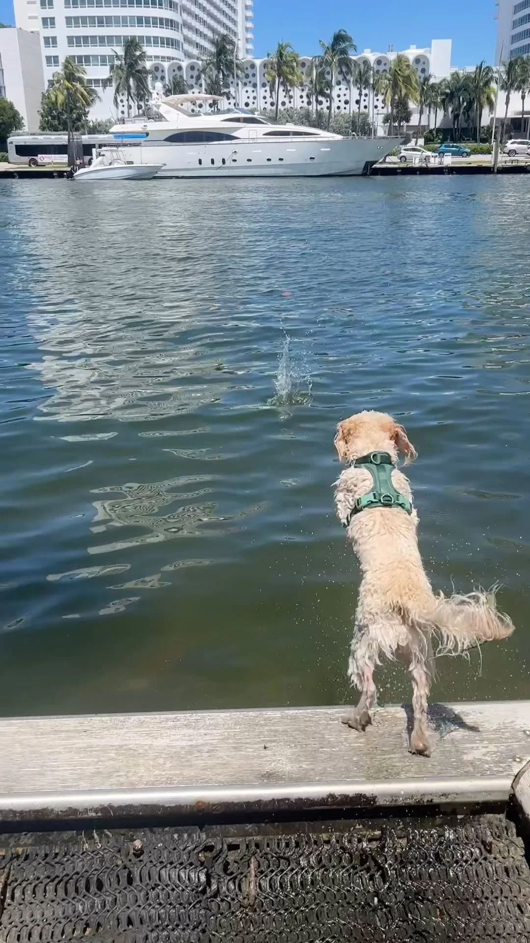 HAND LETTERING SET — KNOF Design