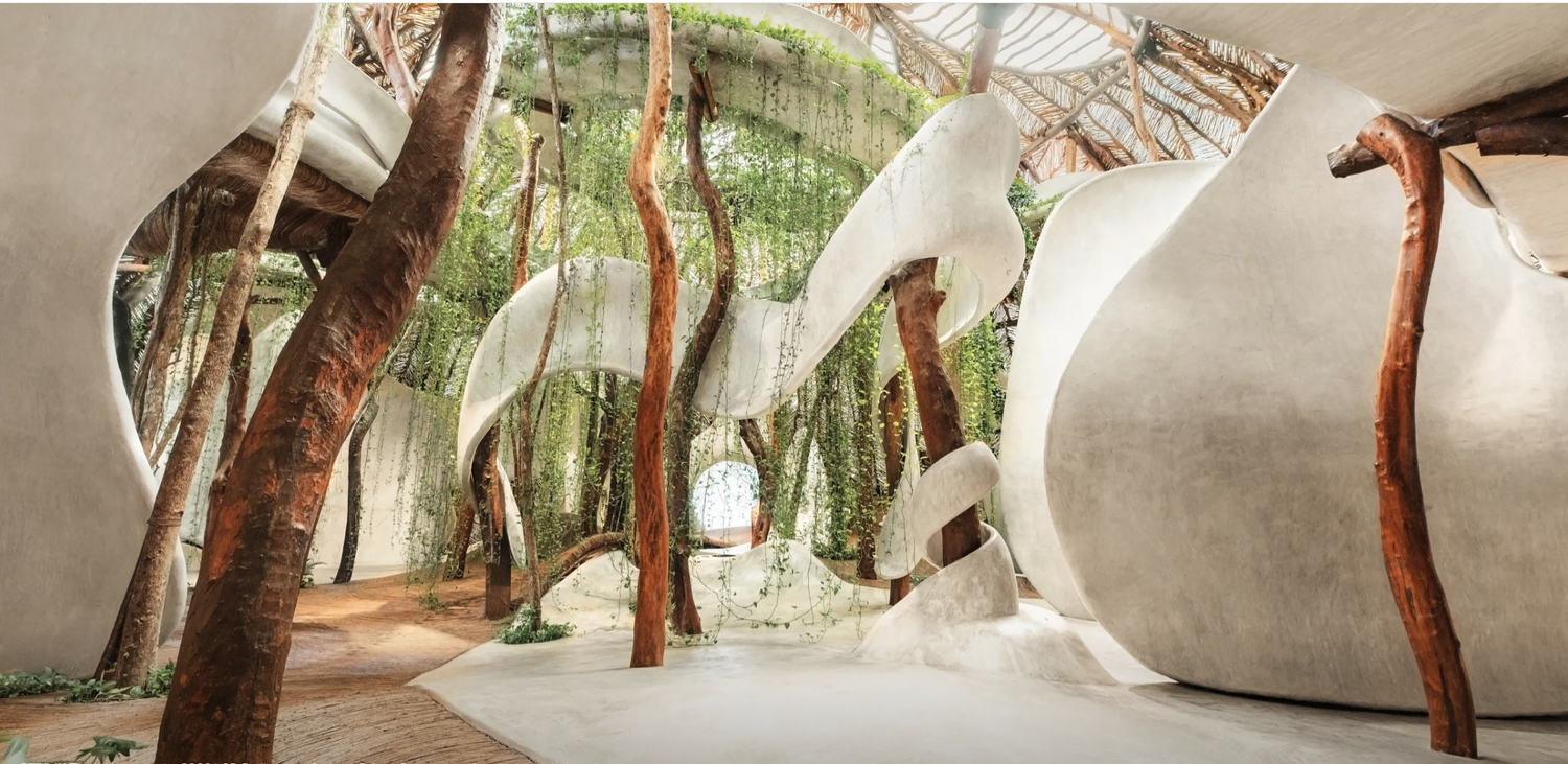 Embracing Nature: The Essence of Biophilic Architecture and Design ...