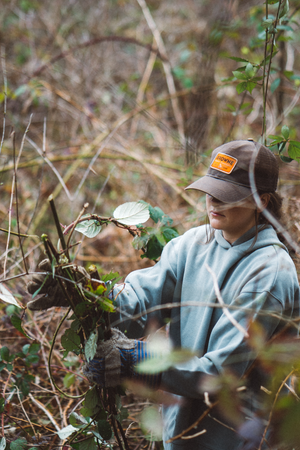 Forest Project | Join Our Upcoming Events Today — Browne Family Vineyards