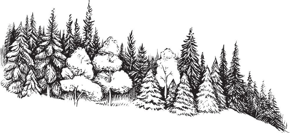 The Spectacle: Issue #33 — Browne Family Vineyards