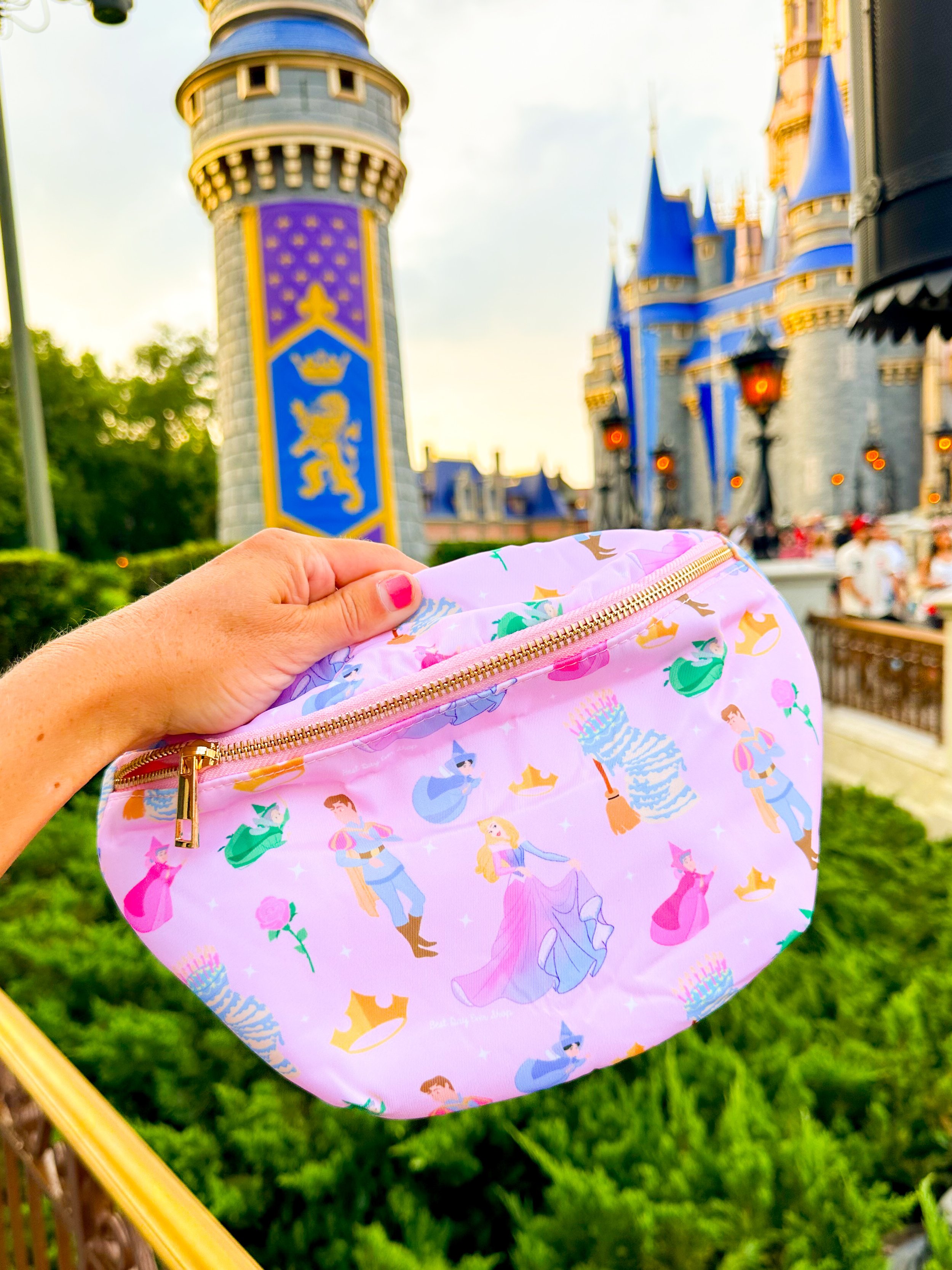 Castles and Carousels Fanny Packs — Best Day Ever