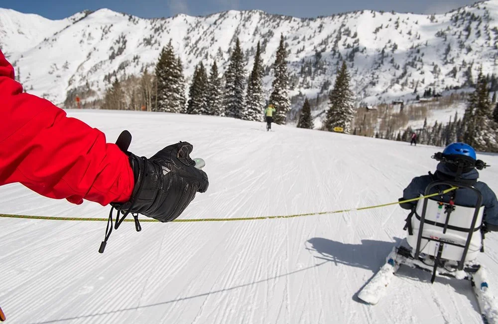 About the TetraSki — TetraSki, Independent Adaptive Skiing