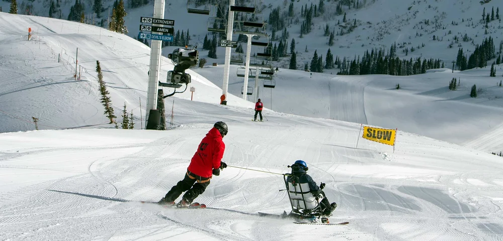 Distribution & Training — TetraSki, Independent Adaptive Skiing