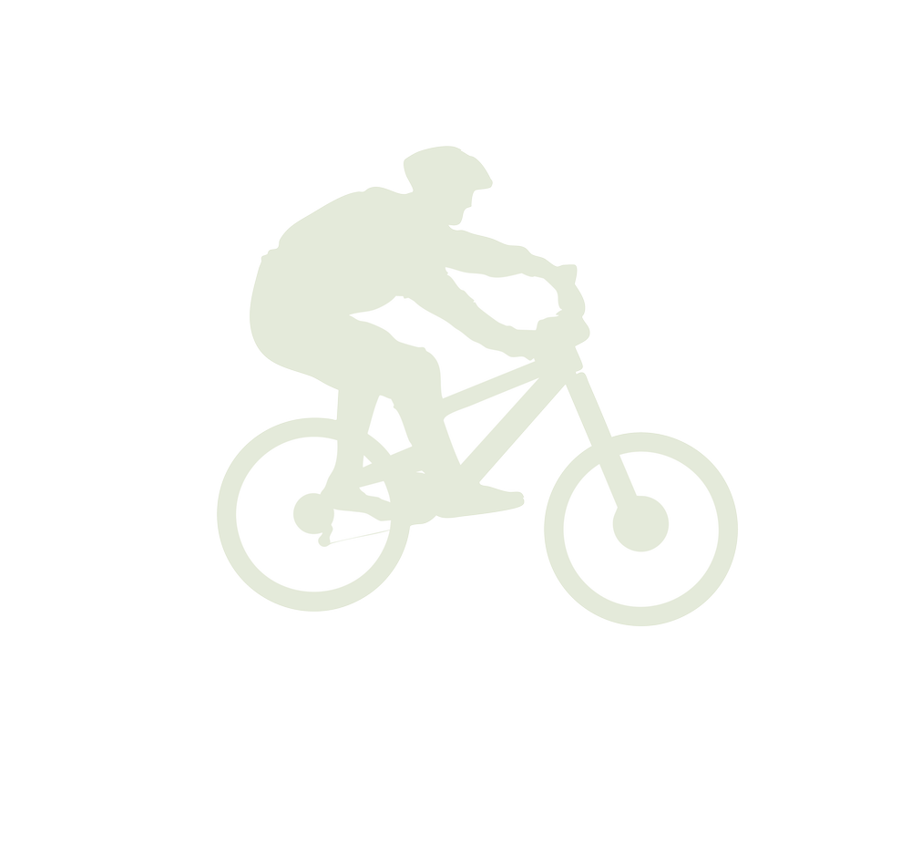 Silver Birch Cycles | Cycling & Adventure Shop | Saranac Lake, NY