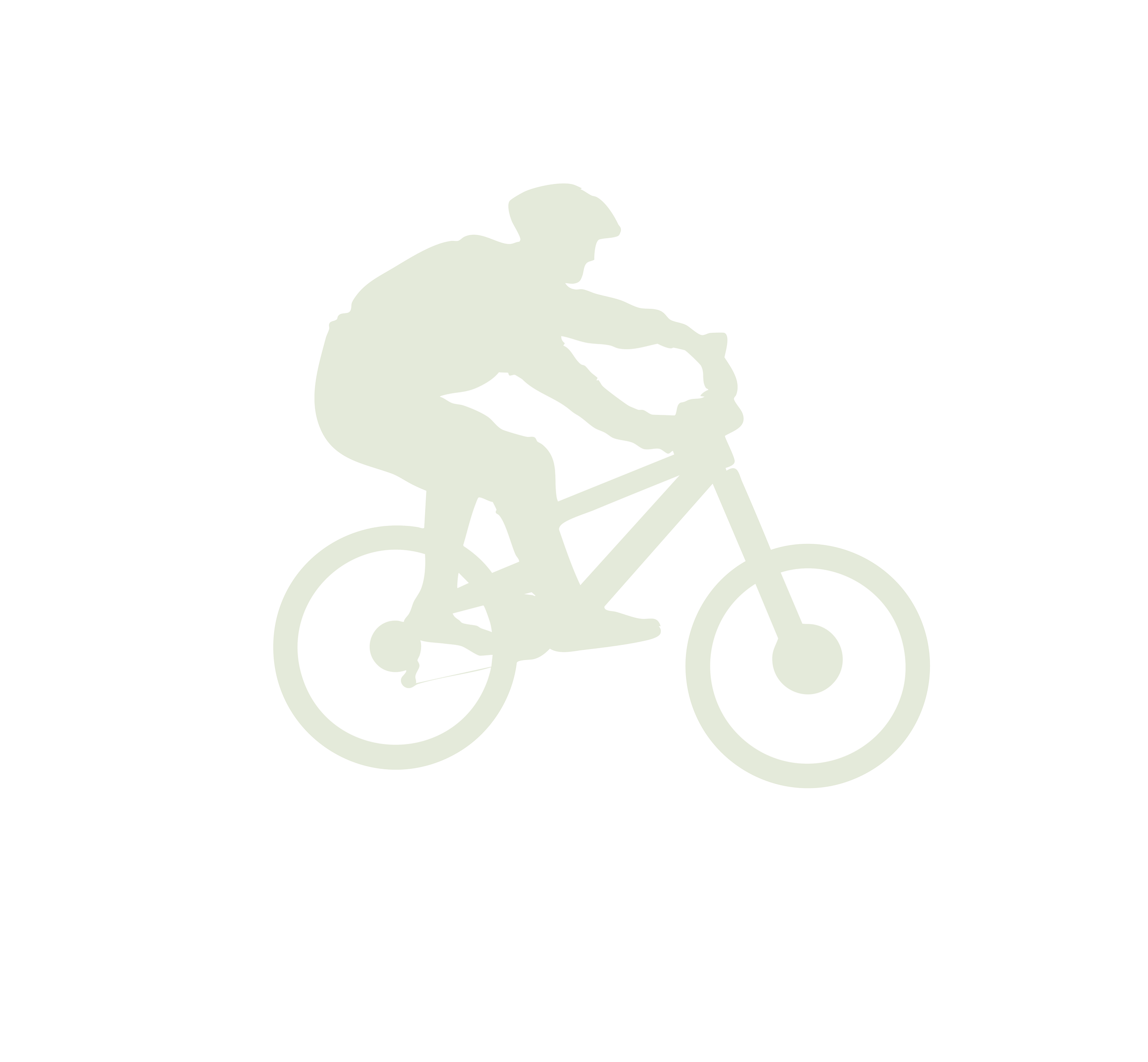 Silver Birch Cycles | Cycling & Adventure Shop | Saranac Lake, NY