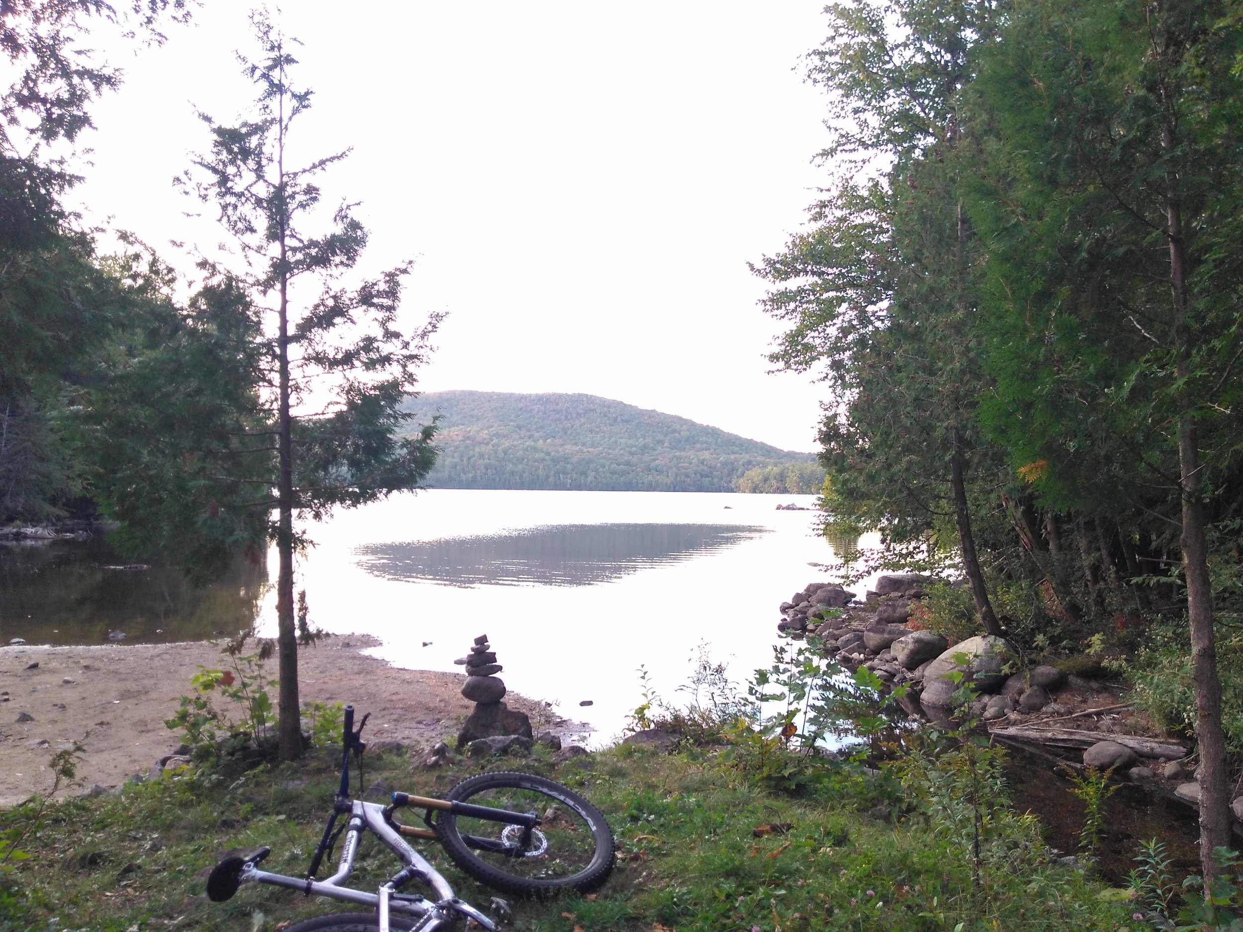 Silver Birch Cycles