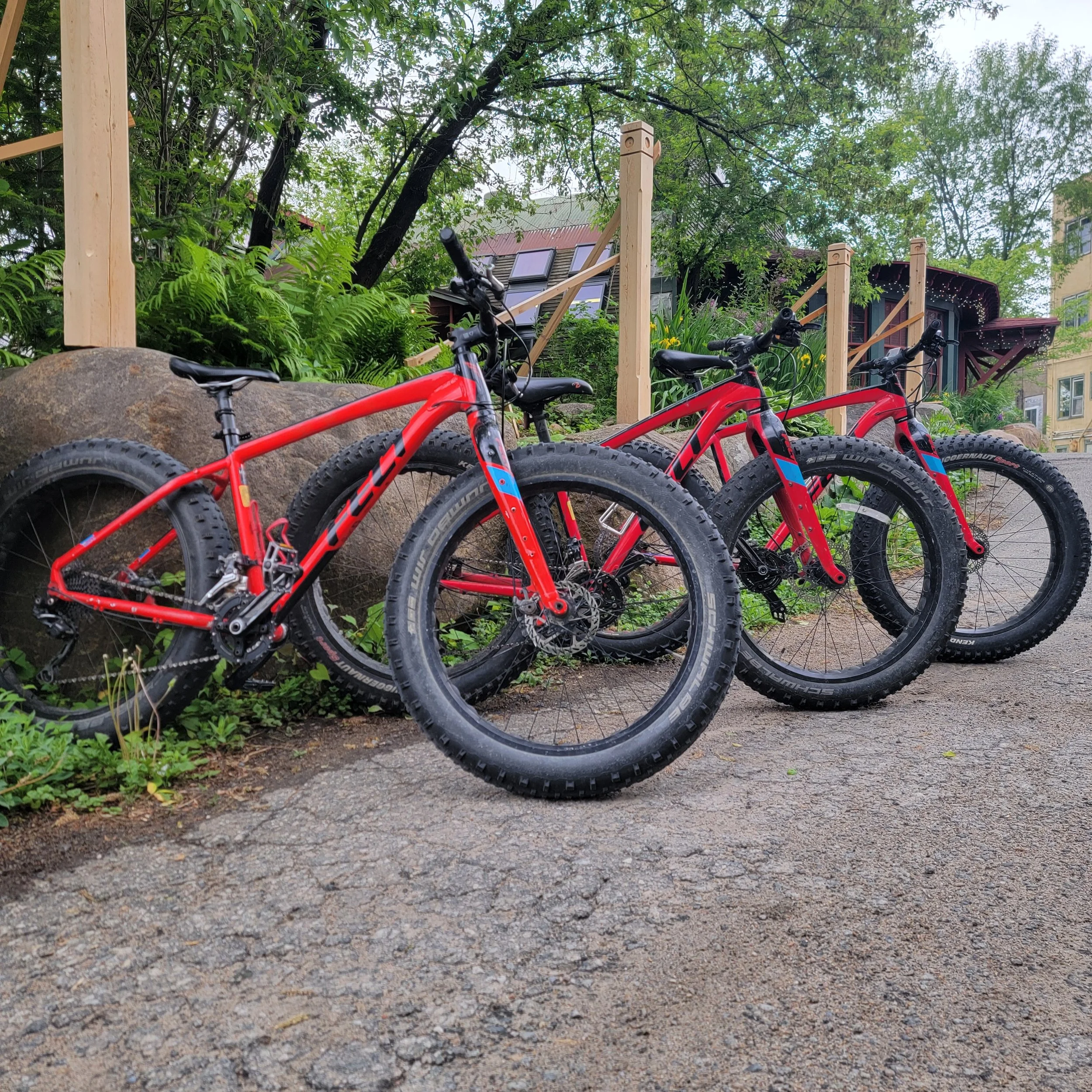 Silver Birch Cycles | Cycling & Adventure Shop | Saranac Lake, NY