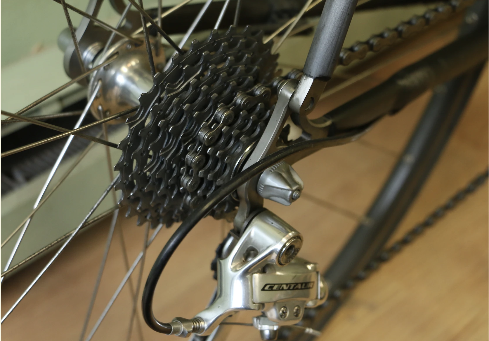 Who We Are — Silver Birch Cycles