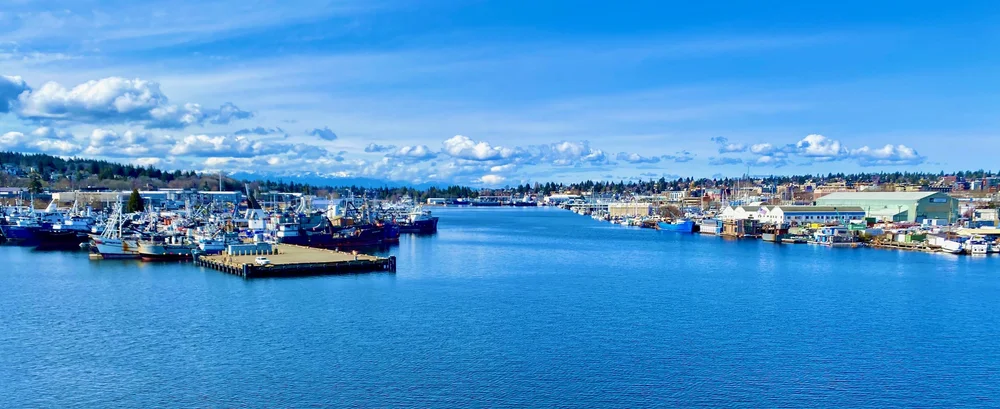 Ballard Guitar Dock