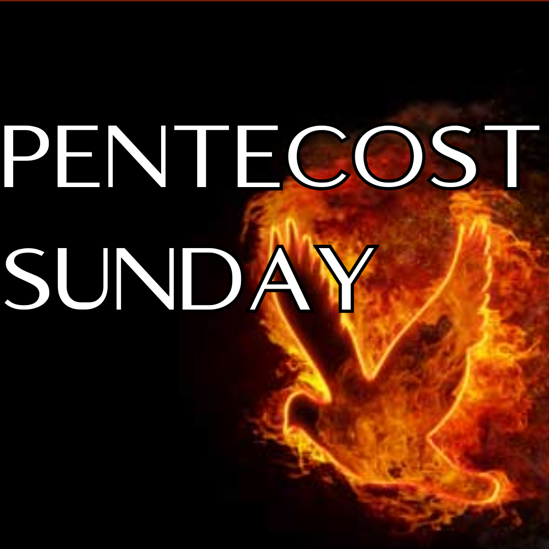 FIRST UNITED METHODIST CHURCH