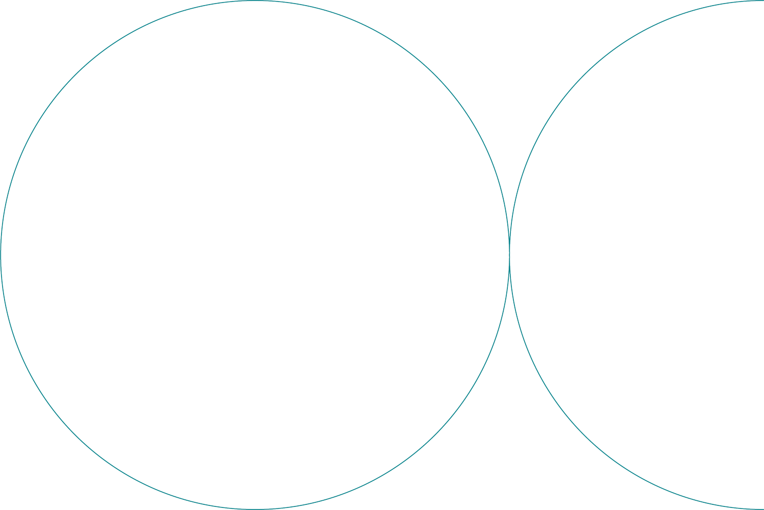 Otautahi Orthopaedics