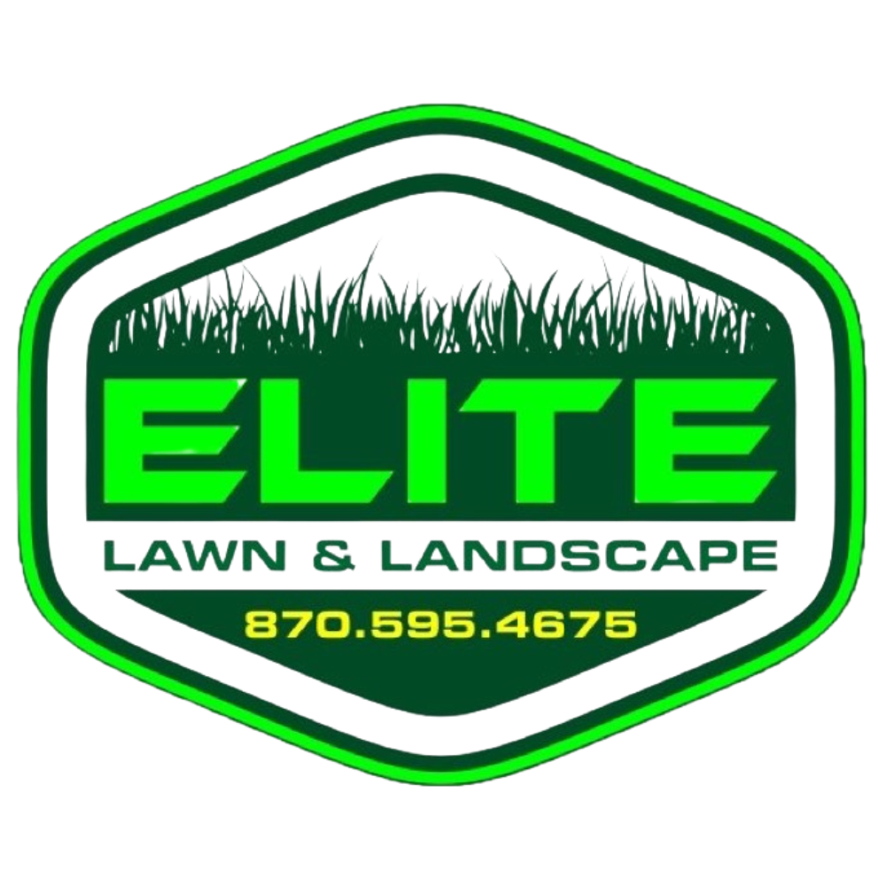 Why Elite Lawn and Landscape is Your Trusted Choice for Lawn Care in ...