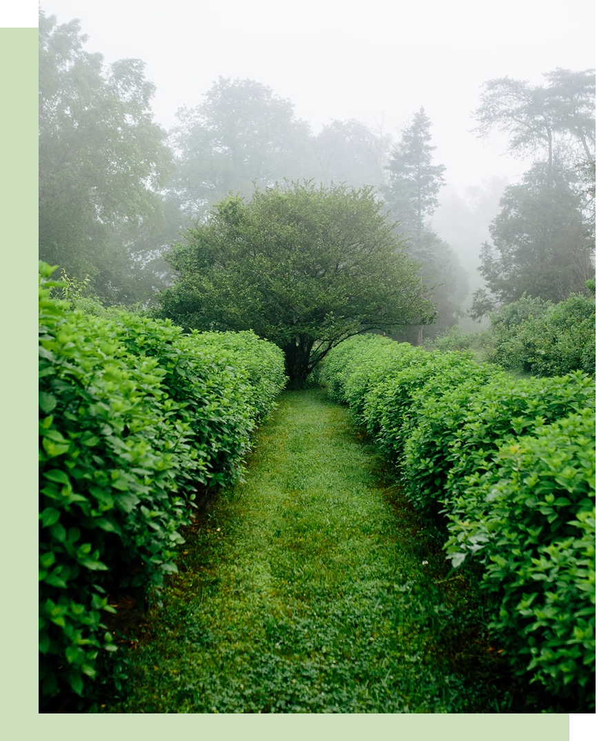 Arboretum — Wollam Gardens