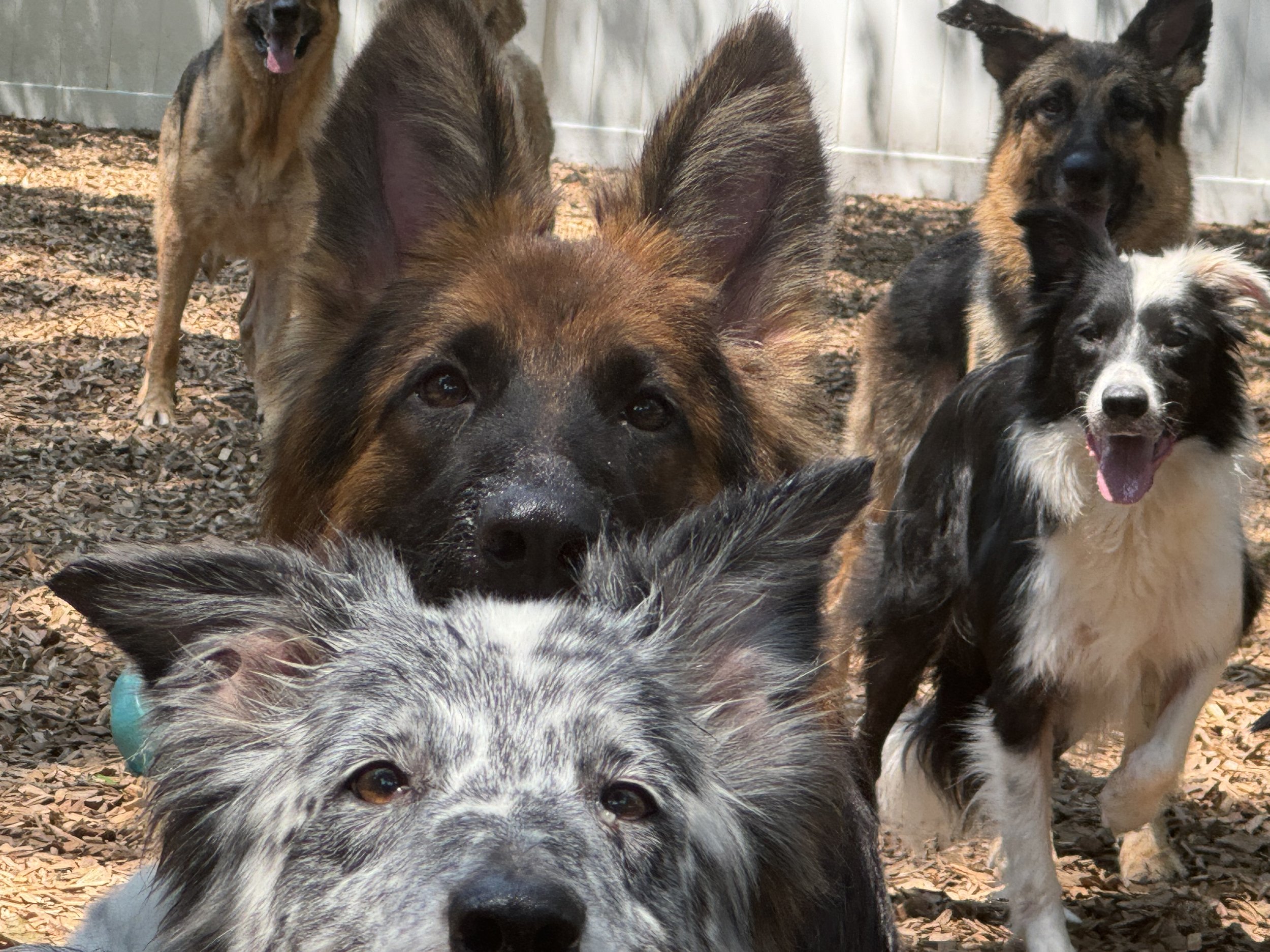 Perfect Imperfections