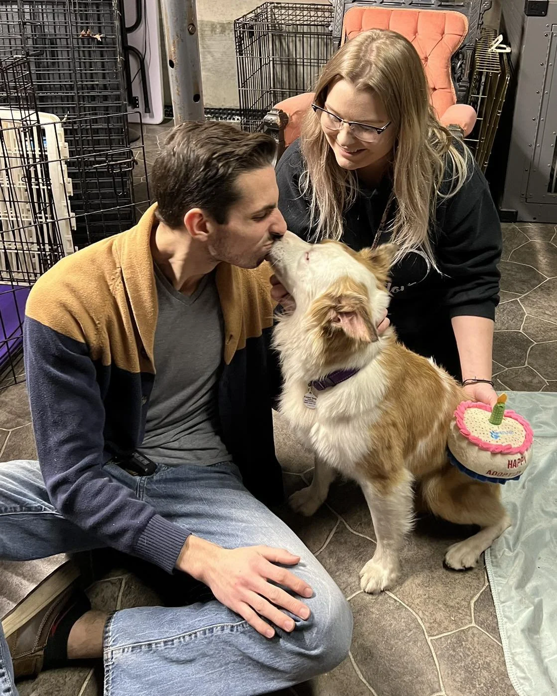 What We Do — Perfect Imperfections Rescue and Sanctuary