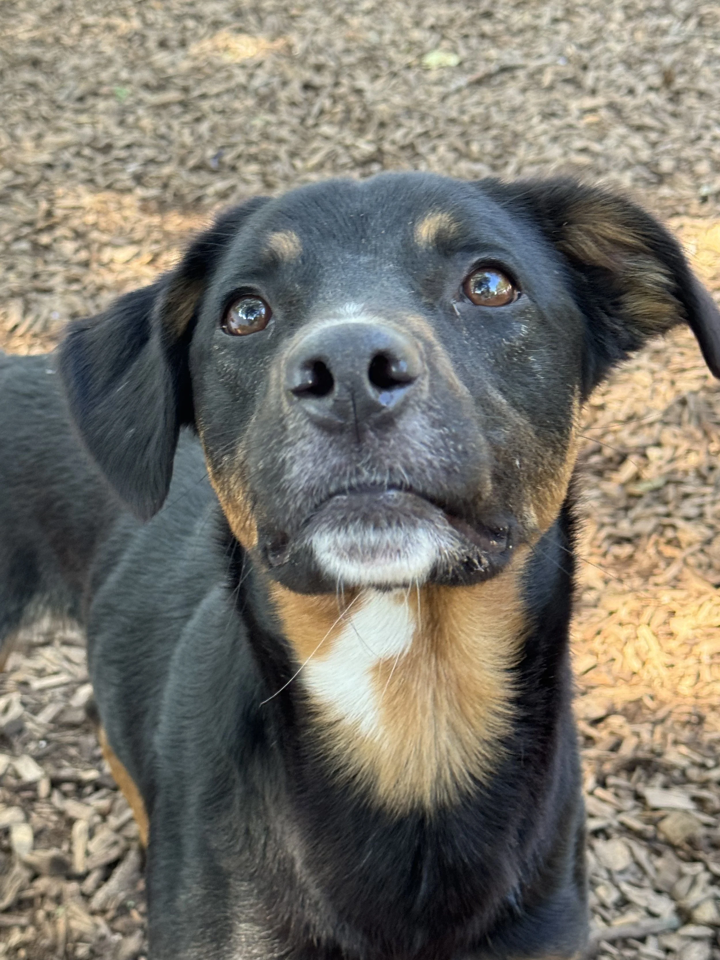 Perfect Imperfections