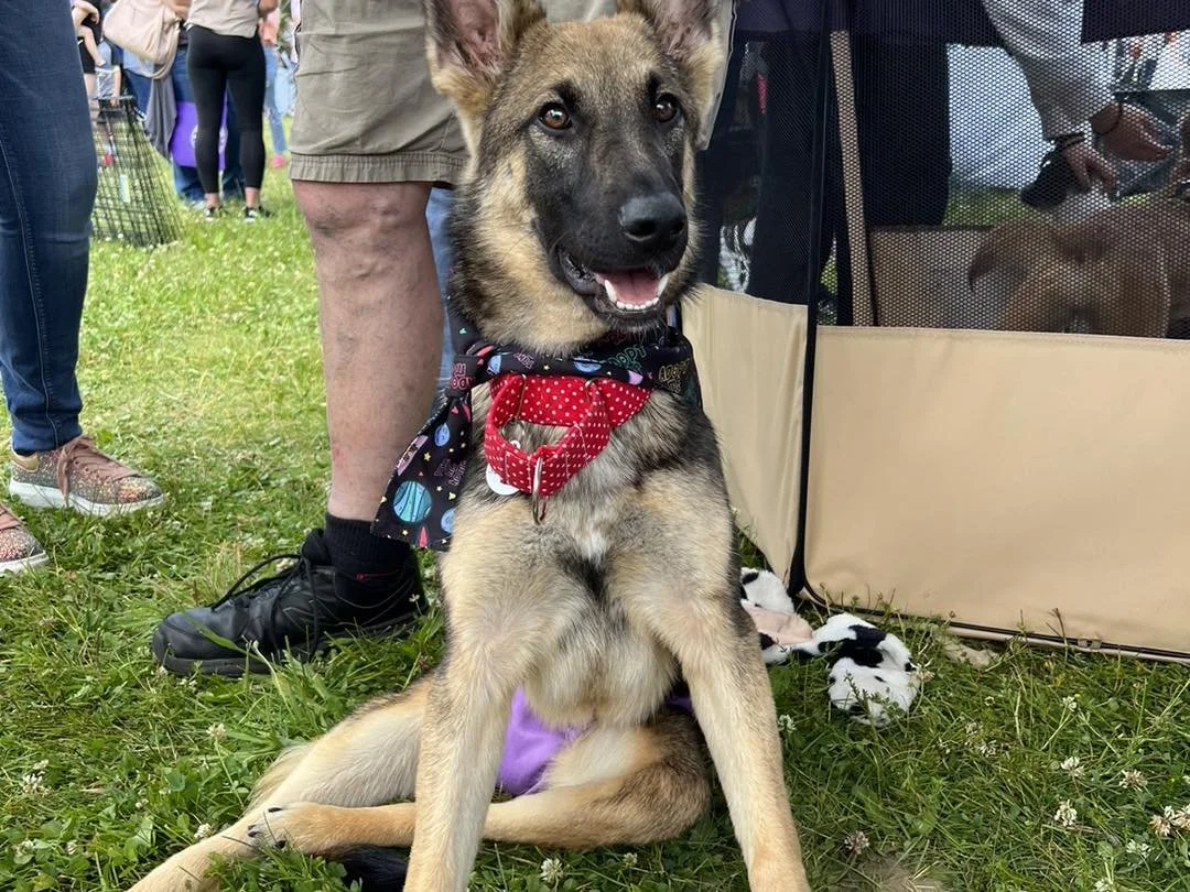 Perfect Imperfections