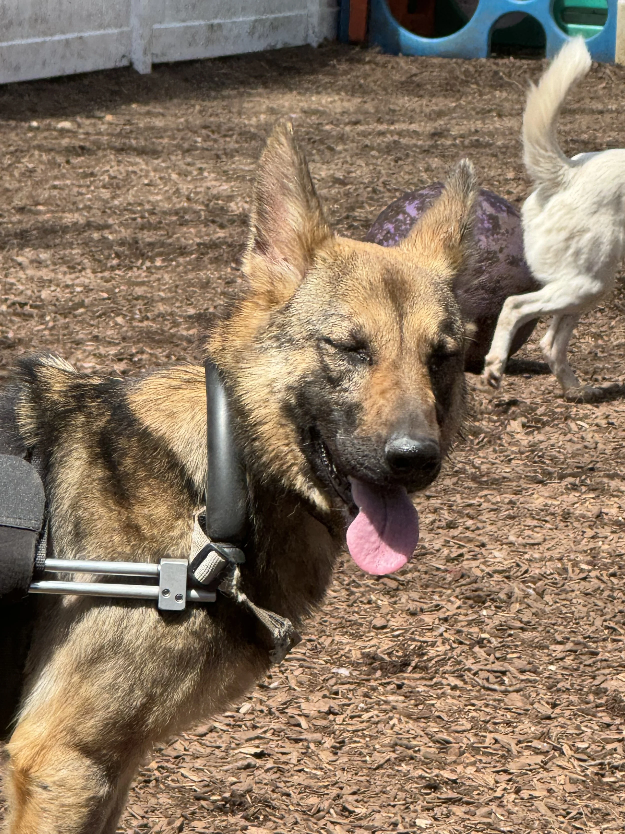 Perfect Imperfections