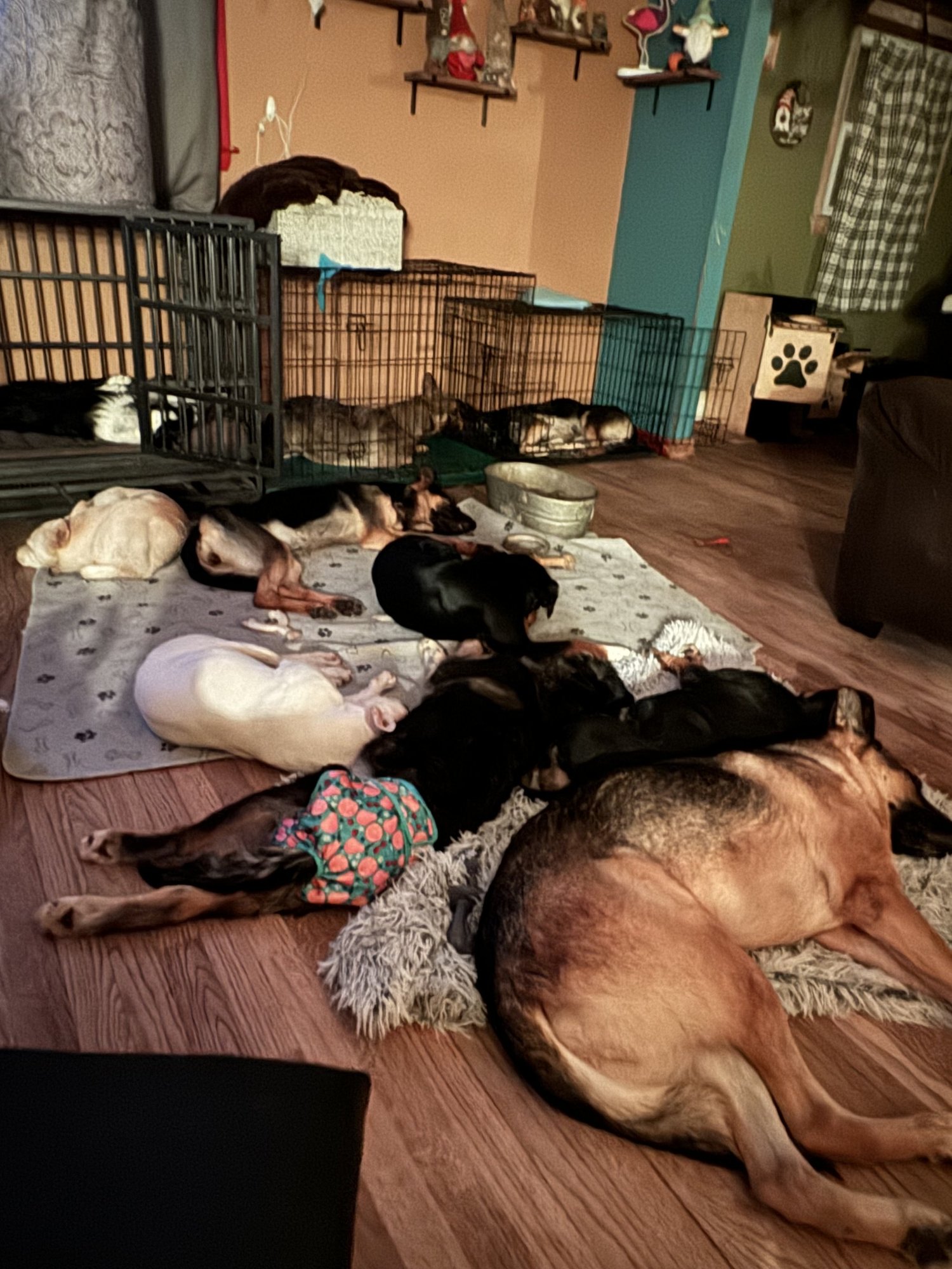 Perfect Imperfections