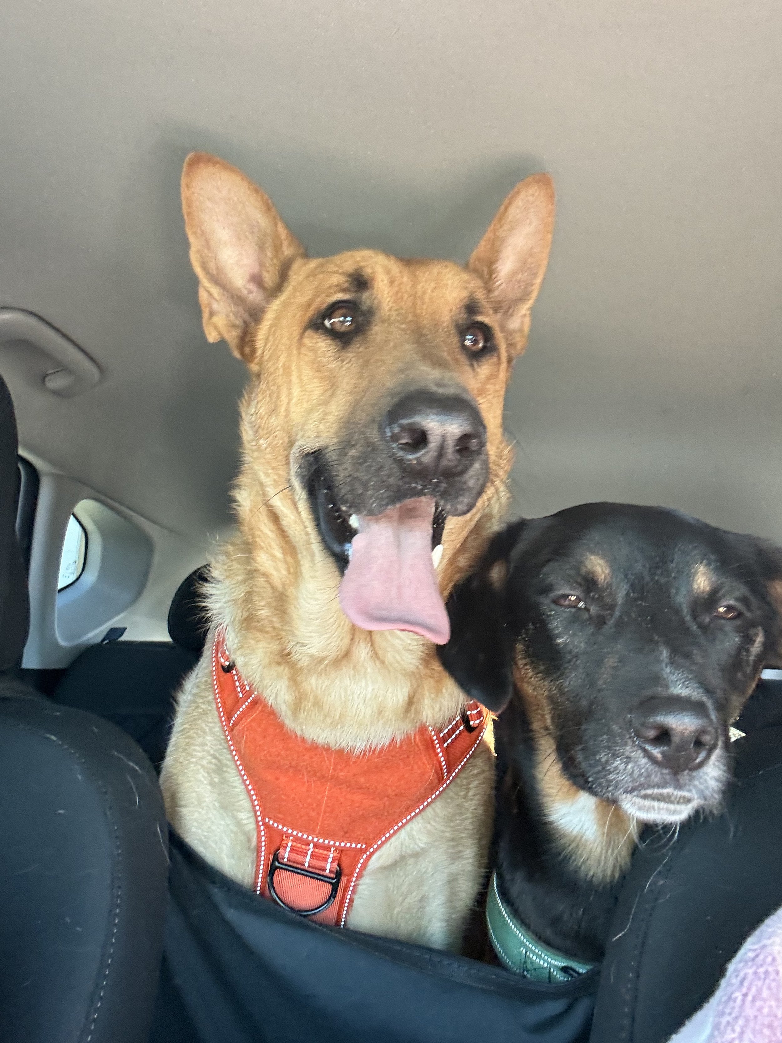 Perfect Imperfections