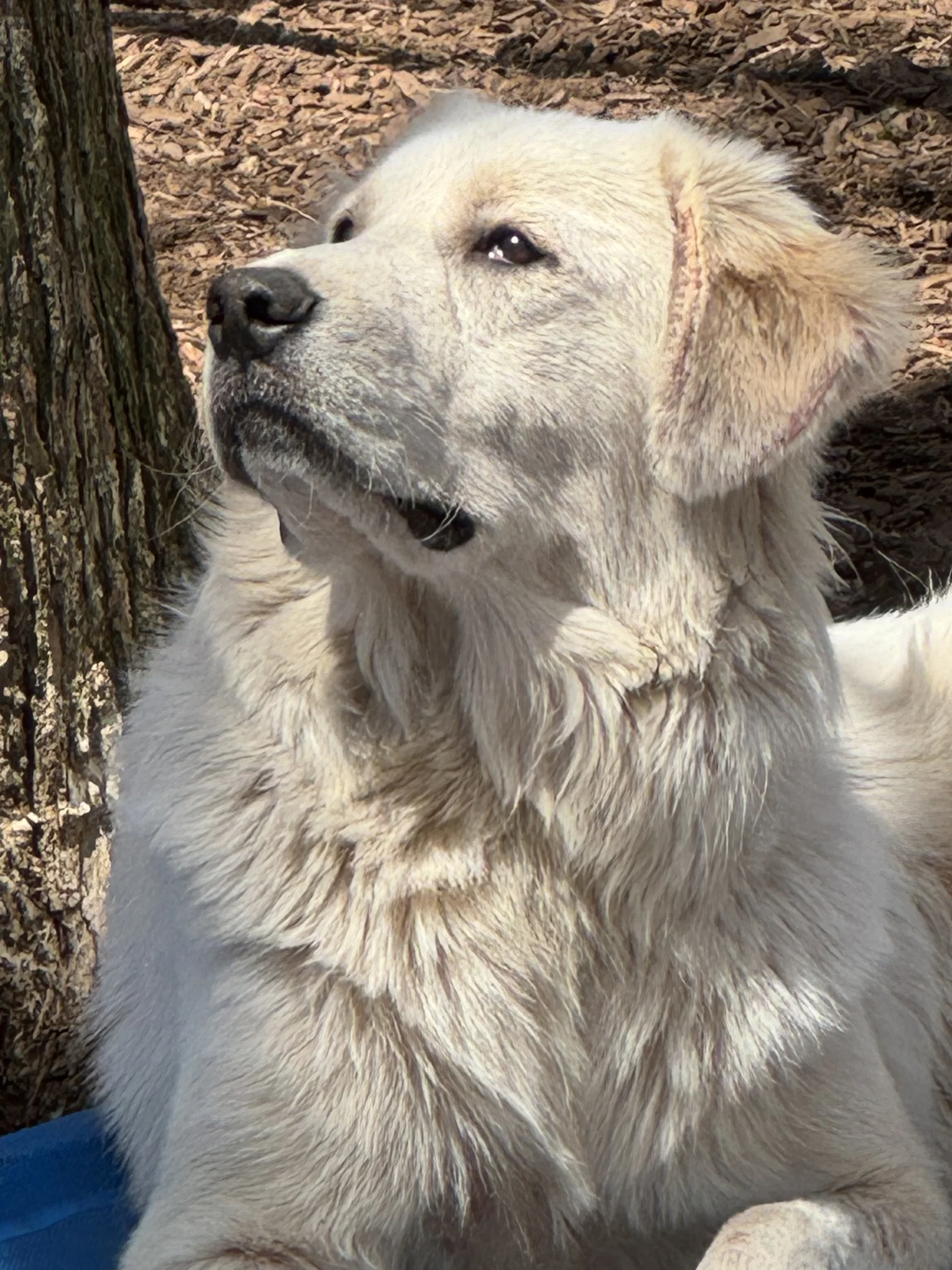 Perfect Imperfections