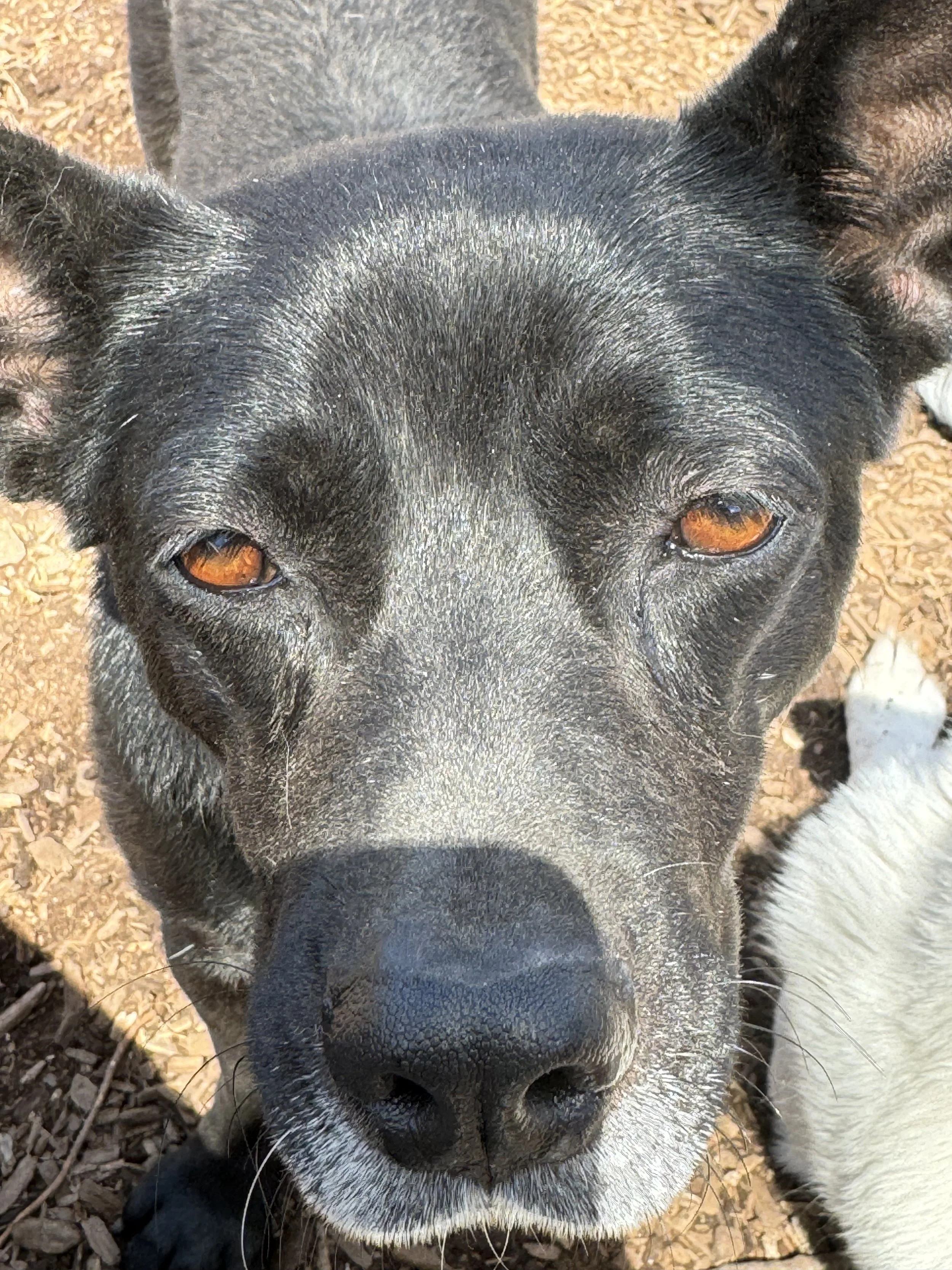 Perfect Imperfections