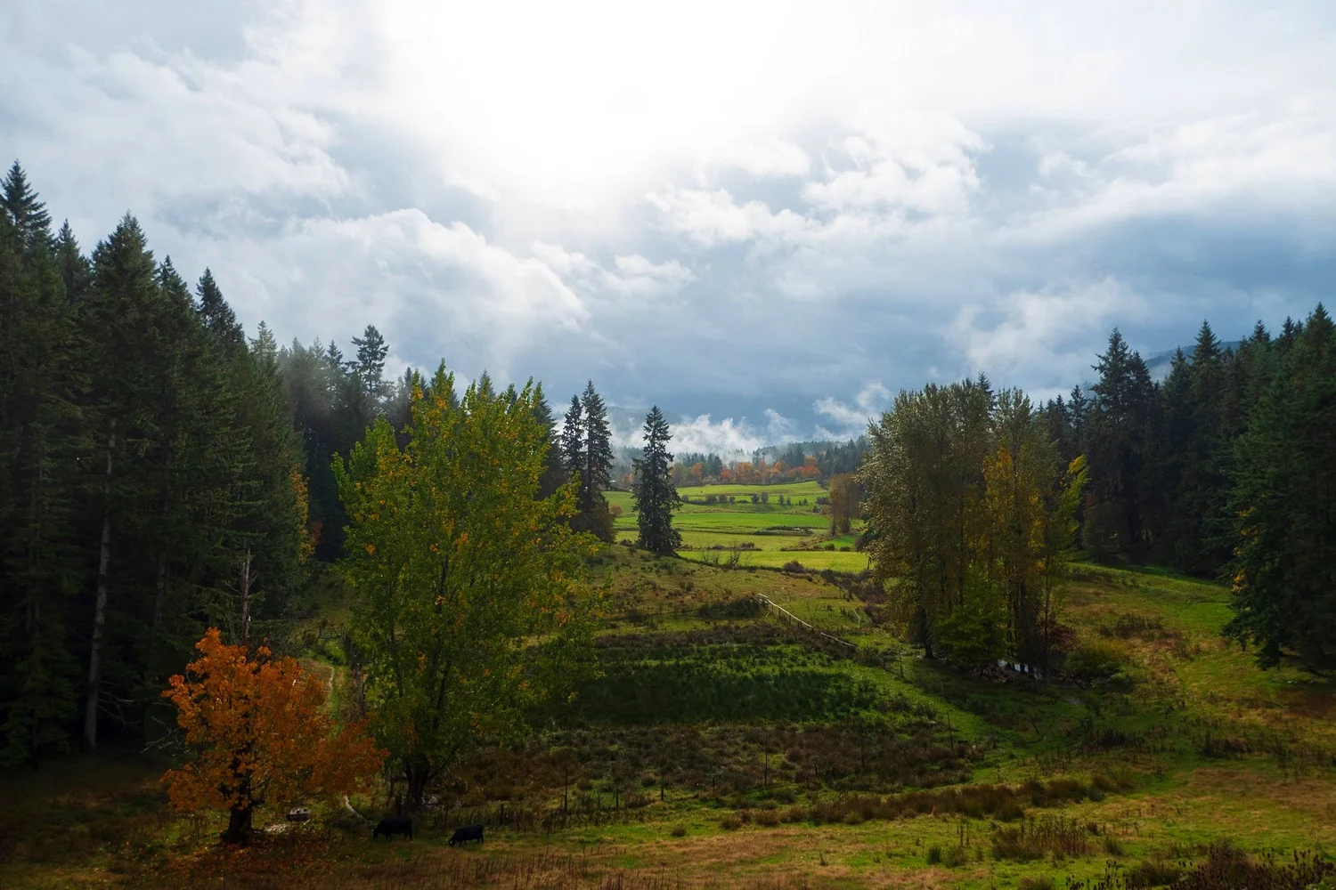 Alderlea Farm & Cafe