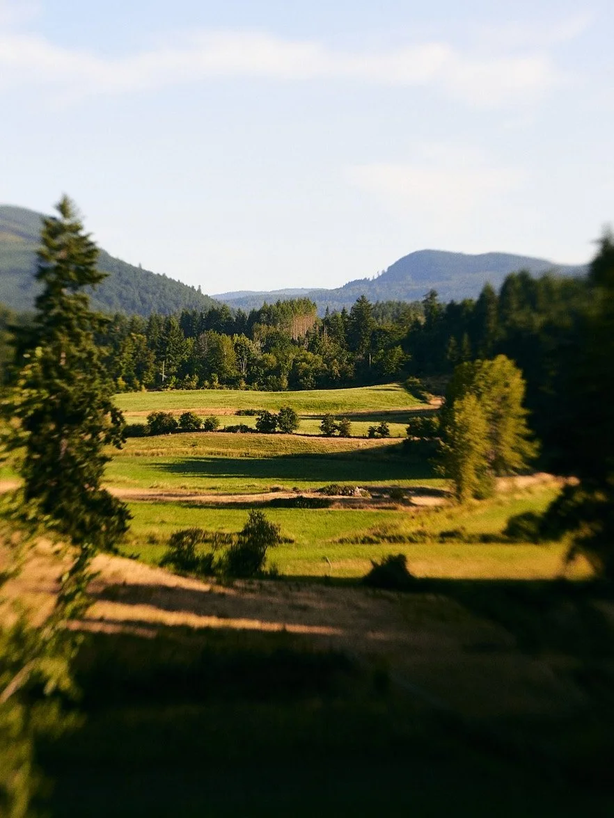 Farmstay Rentals — Alderlea Farm & Cafe