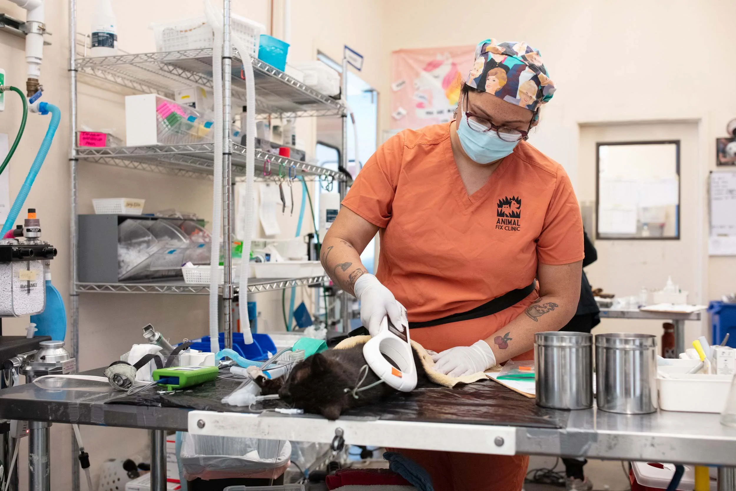 OUR STORY & MISSION — ANIMAL FIX CLINIC