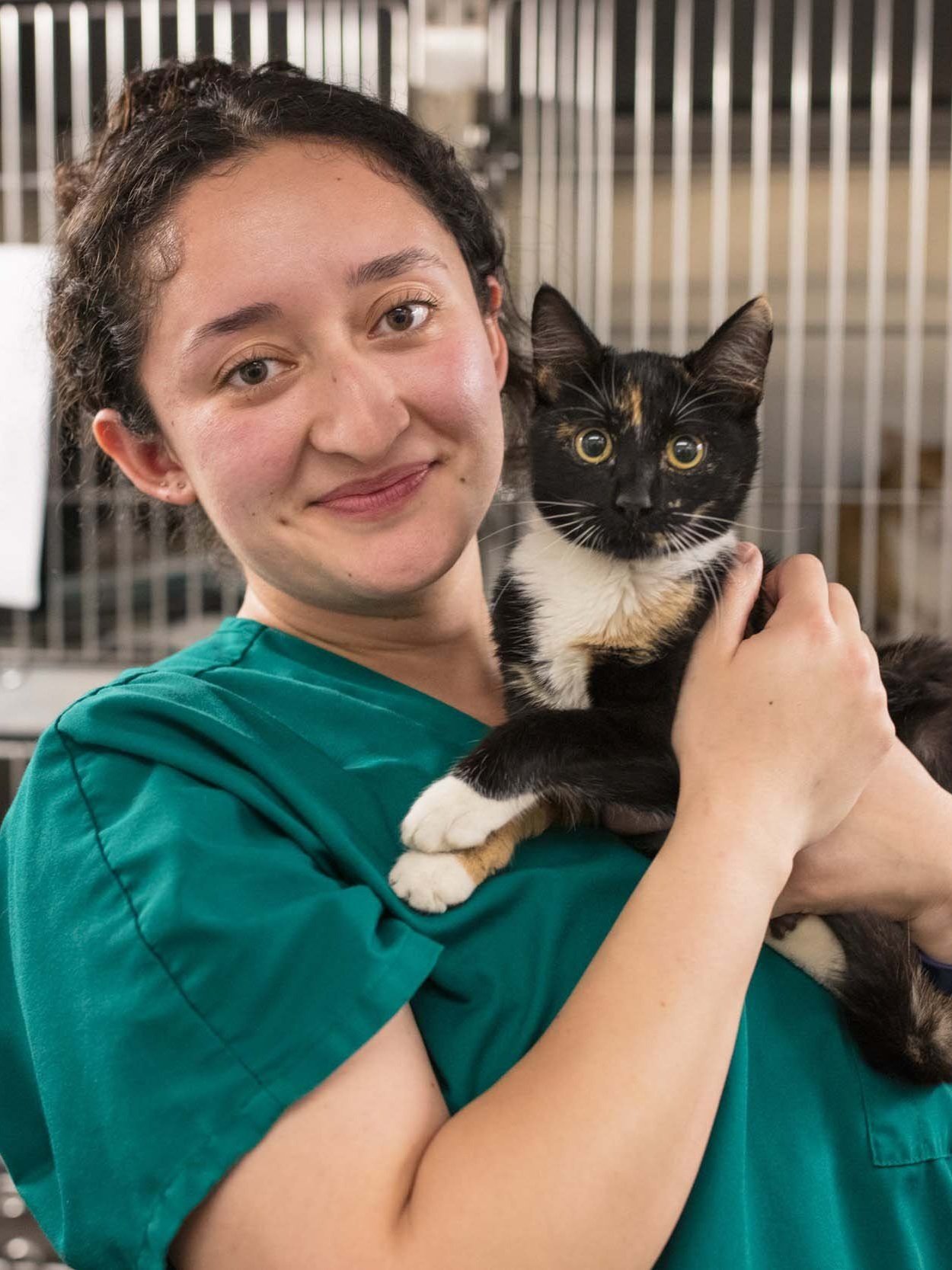 APPOINTMENT INFO — ANIMAL FIX CLINIC